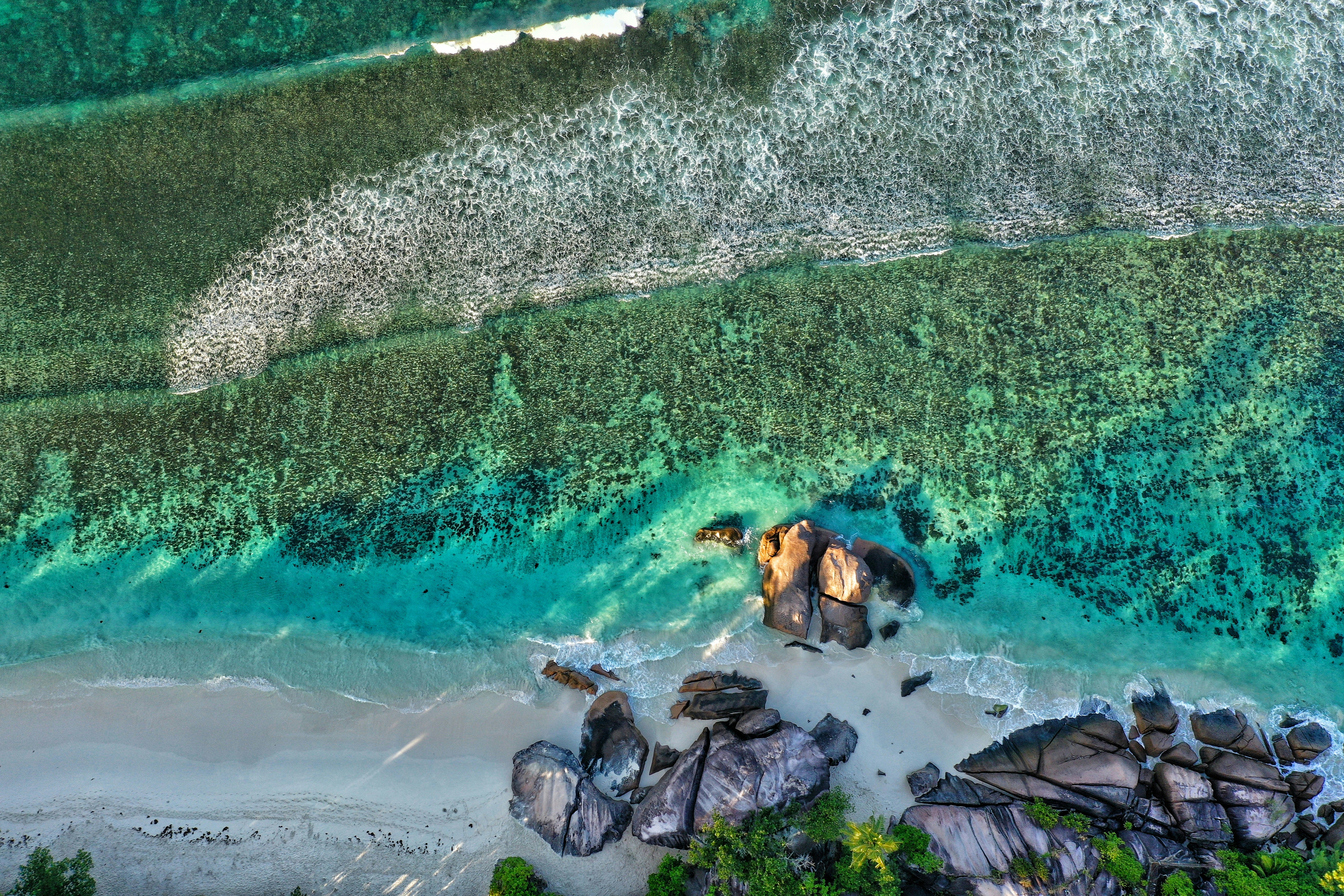Aerial view of a vivid turquoise sea meeting a lush green forest along the Seychelles coast.