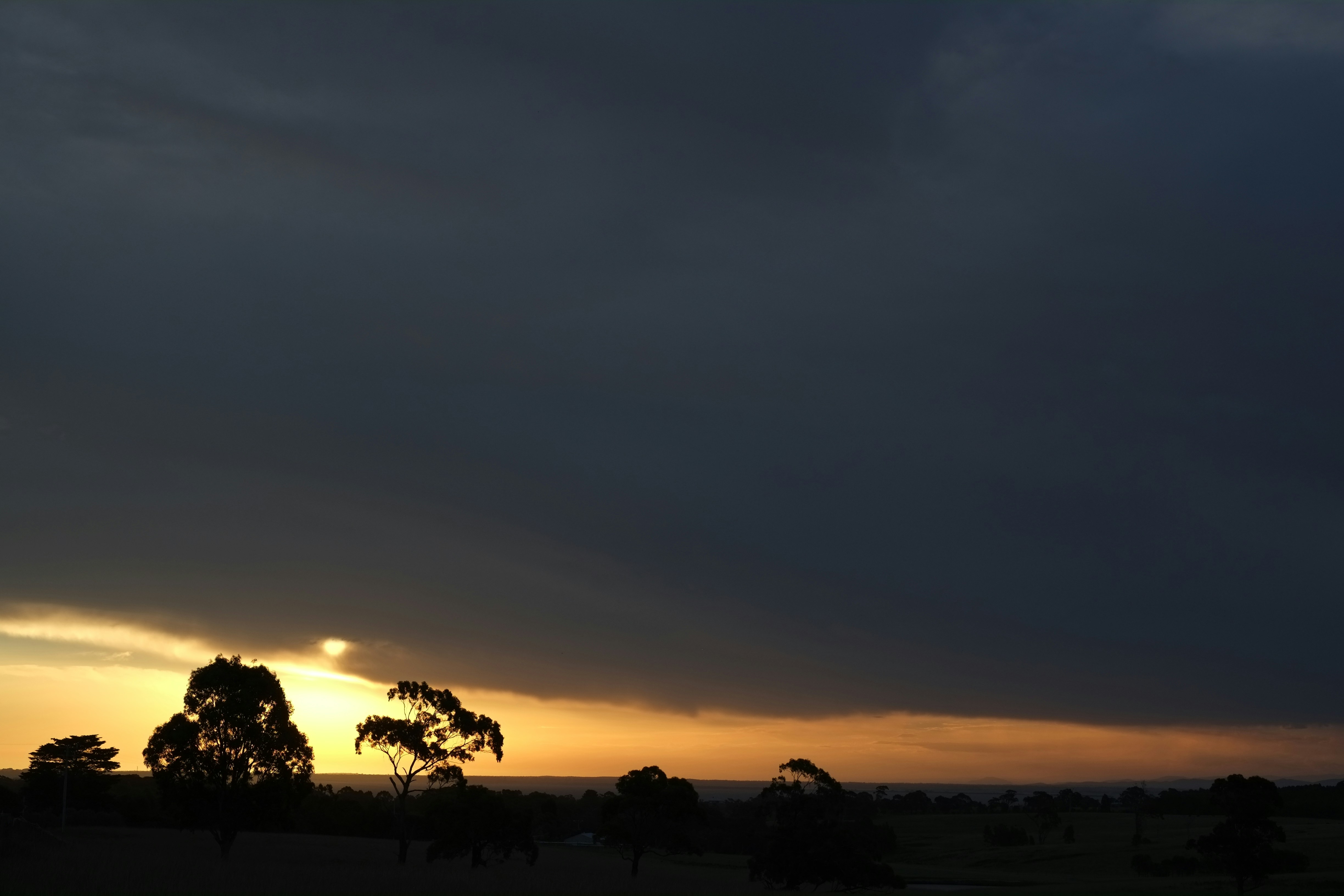 Horizon Fire at Dusk: Silhouetted Trees Across a Quiet Plain