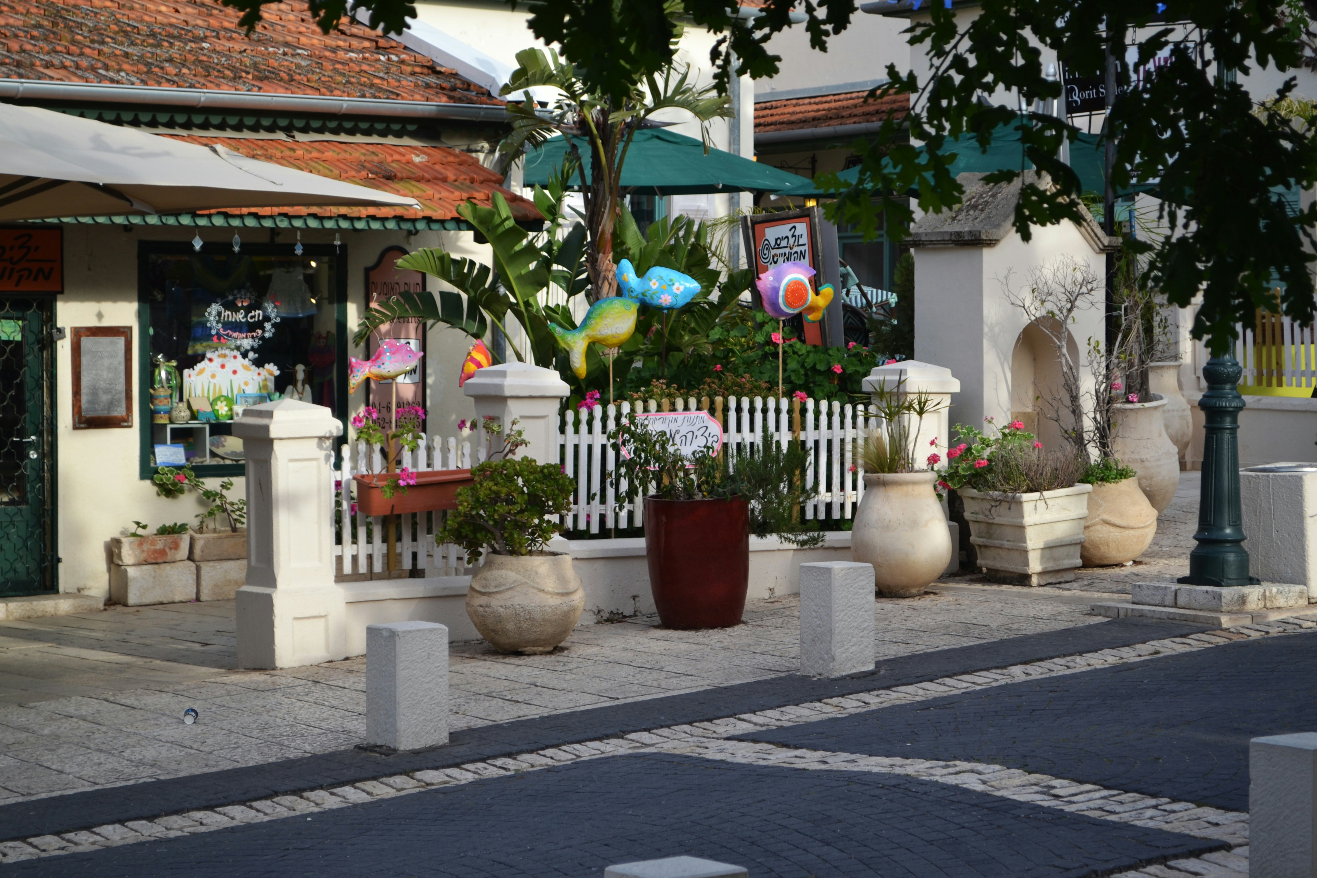 red and green potted plants on the street