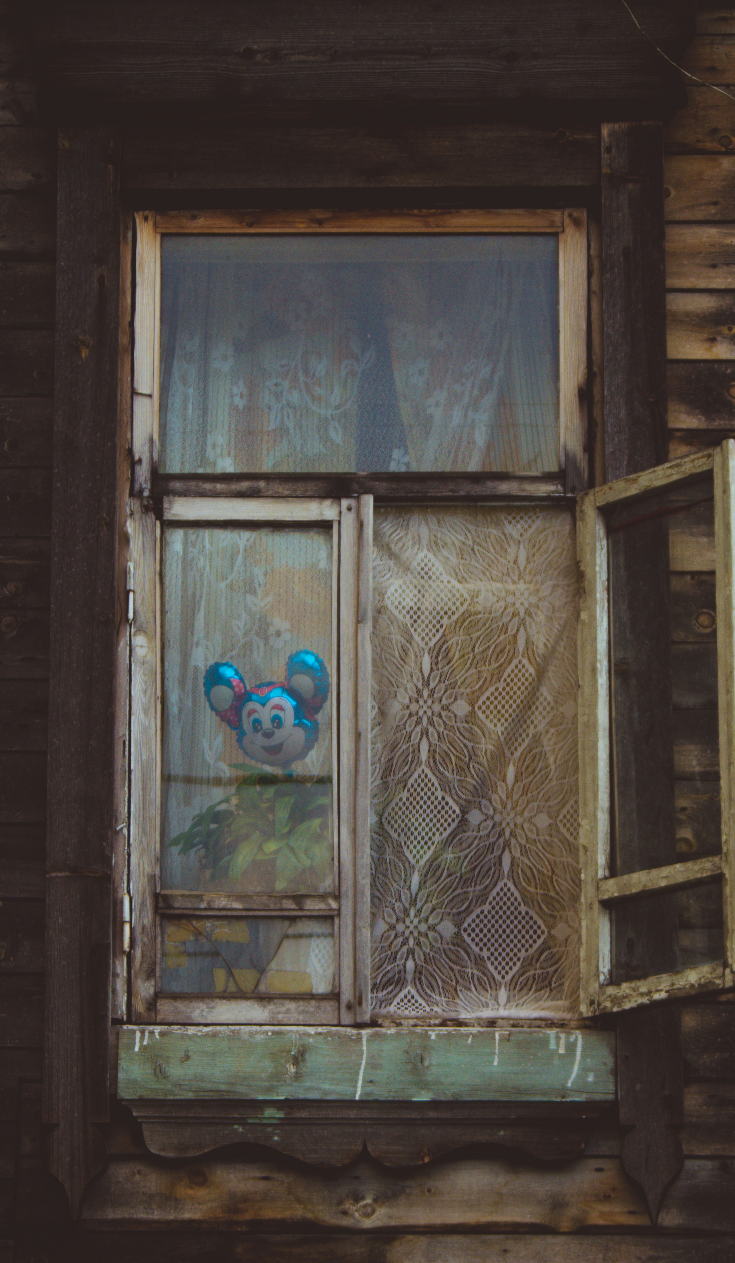 Blue Mouse Behind Lace: A Quiet Glimpse Through a Weathered Window