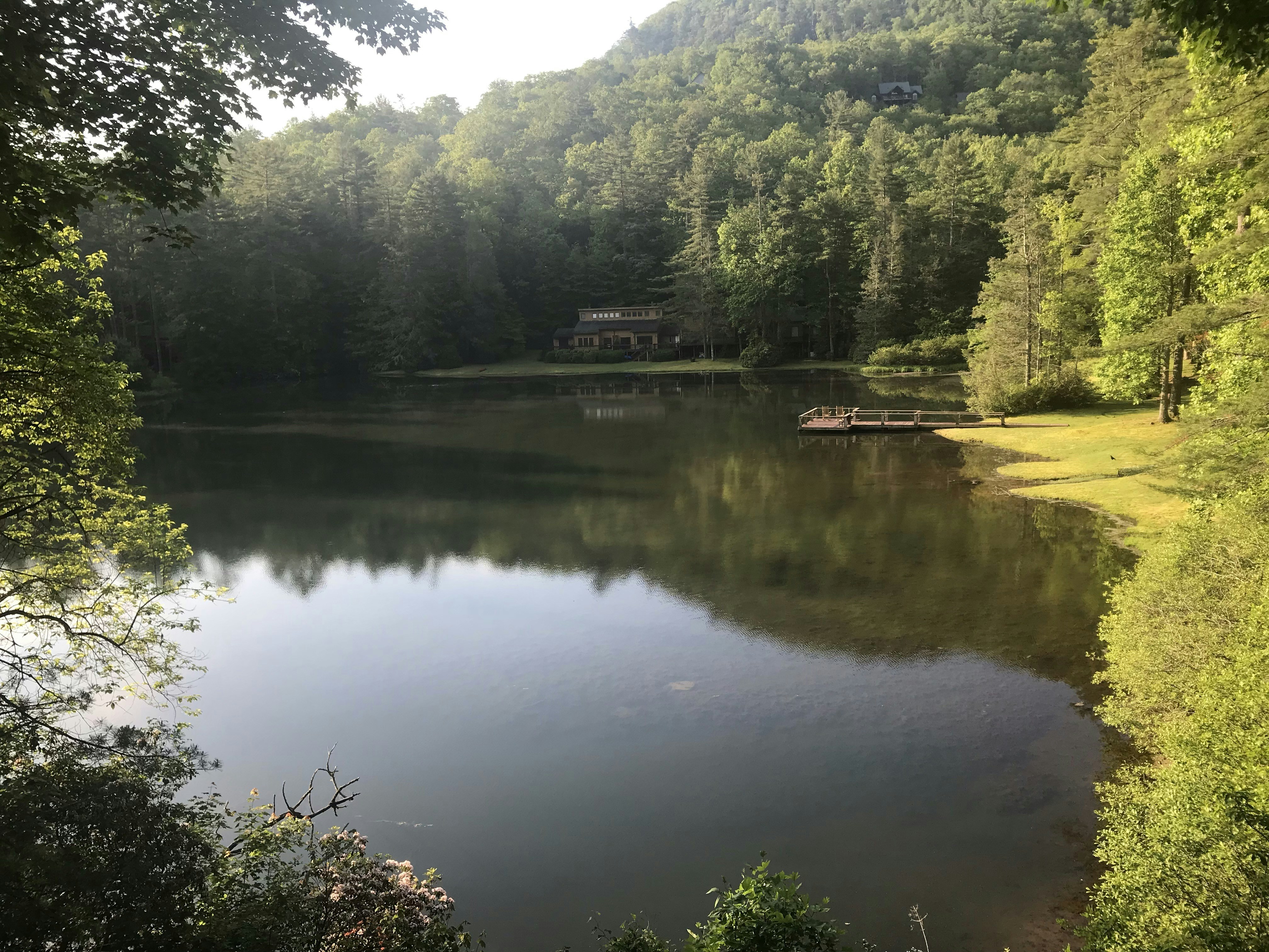 Photo by Laia Tena-Girones with Apple iPhone 7