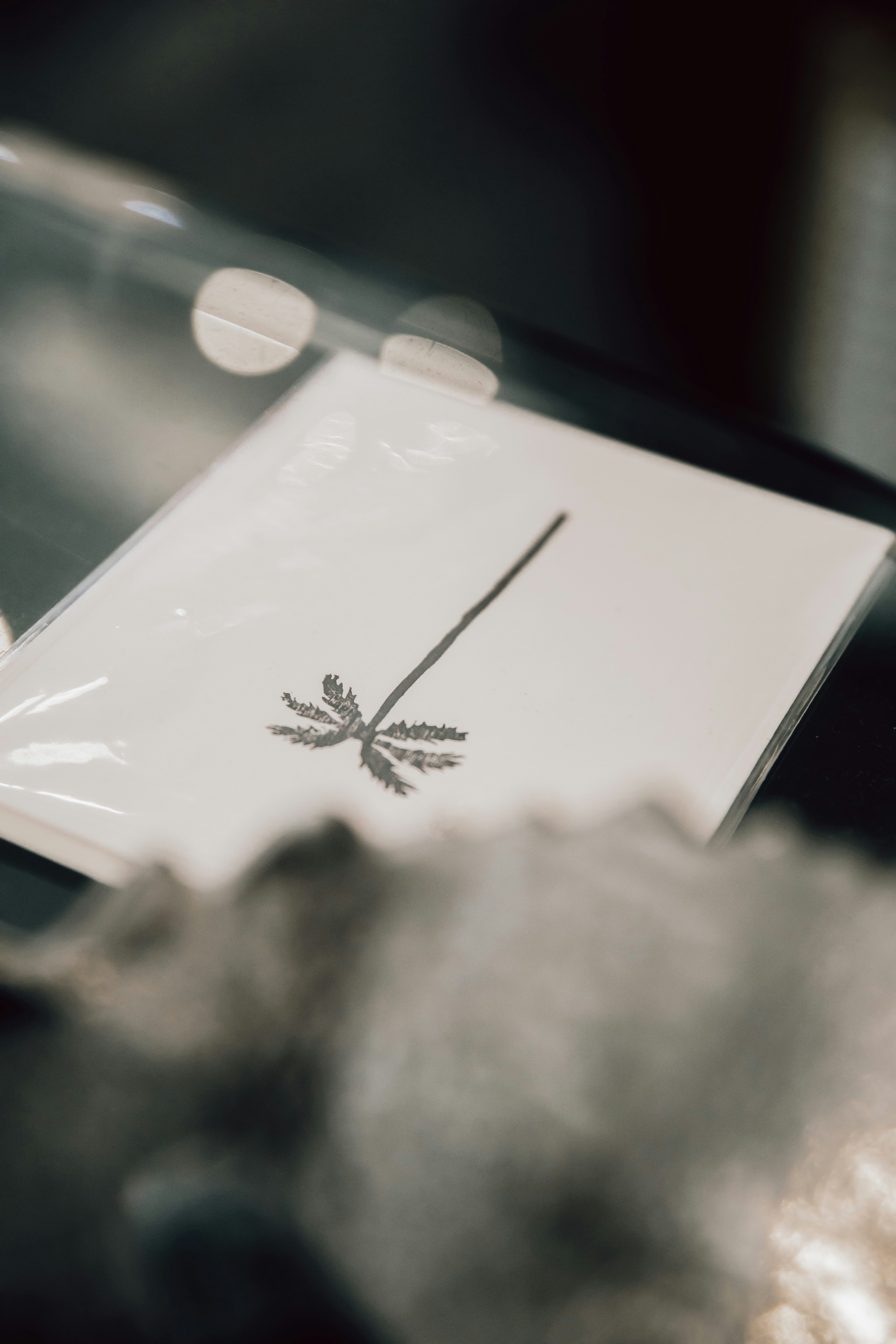 Minimalist Leaf and Paper: A Quiet Moment in Soft Focus