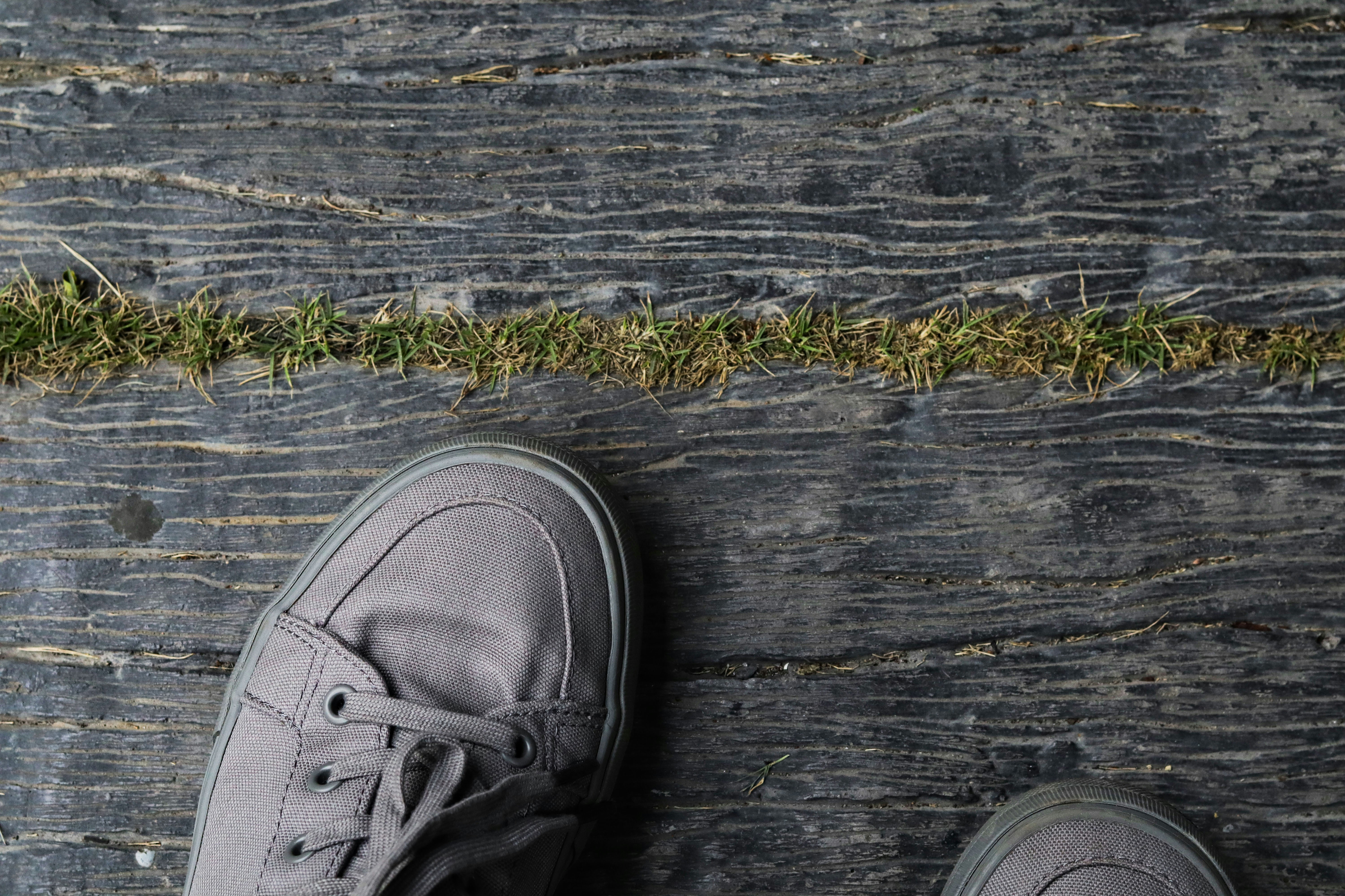 Edge of the Deck: Gray Sneaker Pauses by a Narrow Grass Stripe