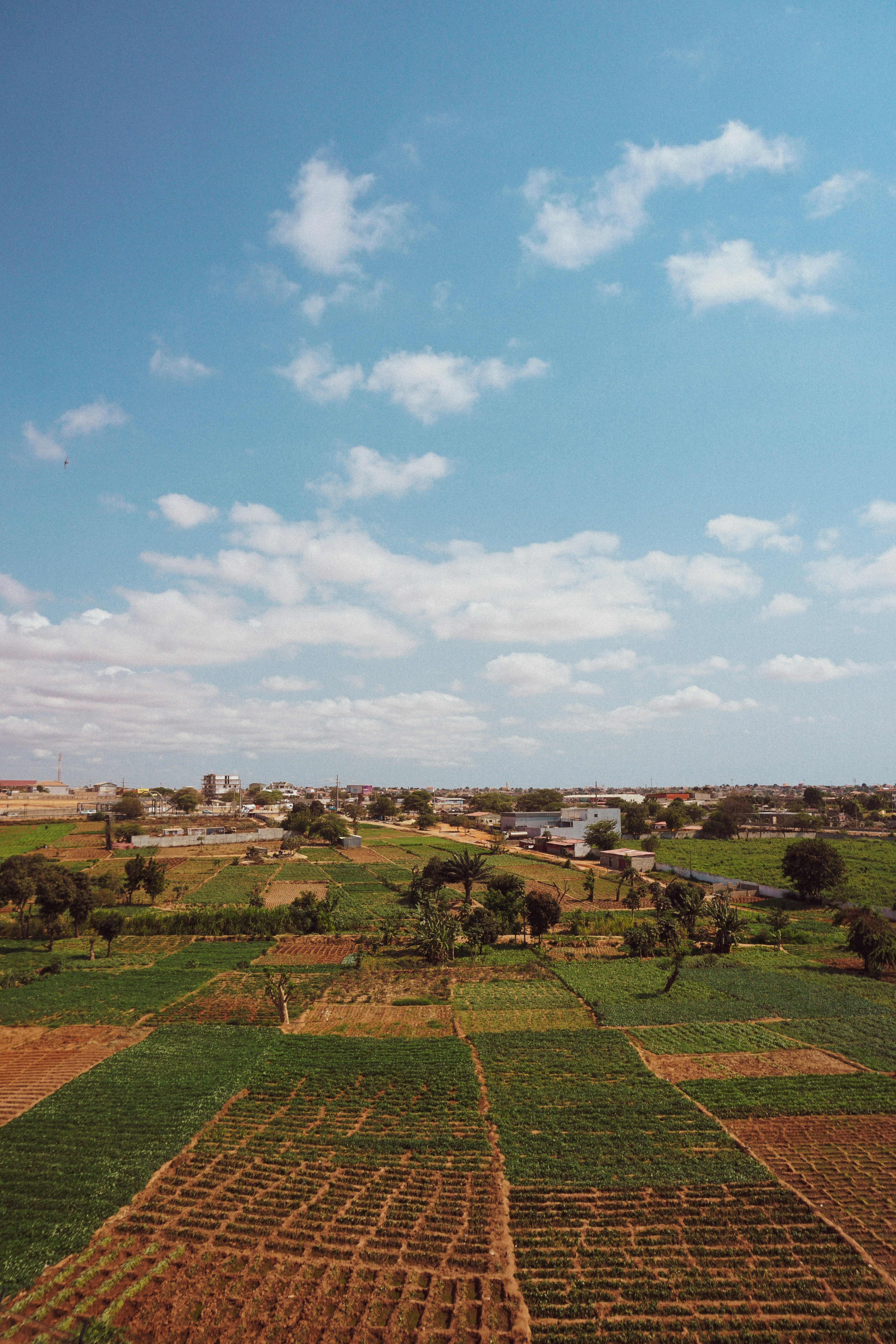 Lush agricultural fields create a vibrant patchwork under a bright blue sky, showcasing the harmony between nature and rural living.