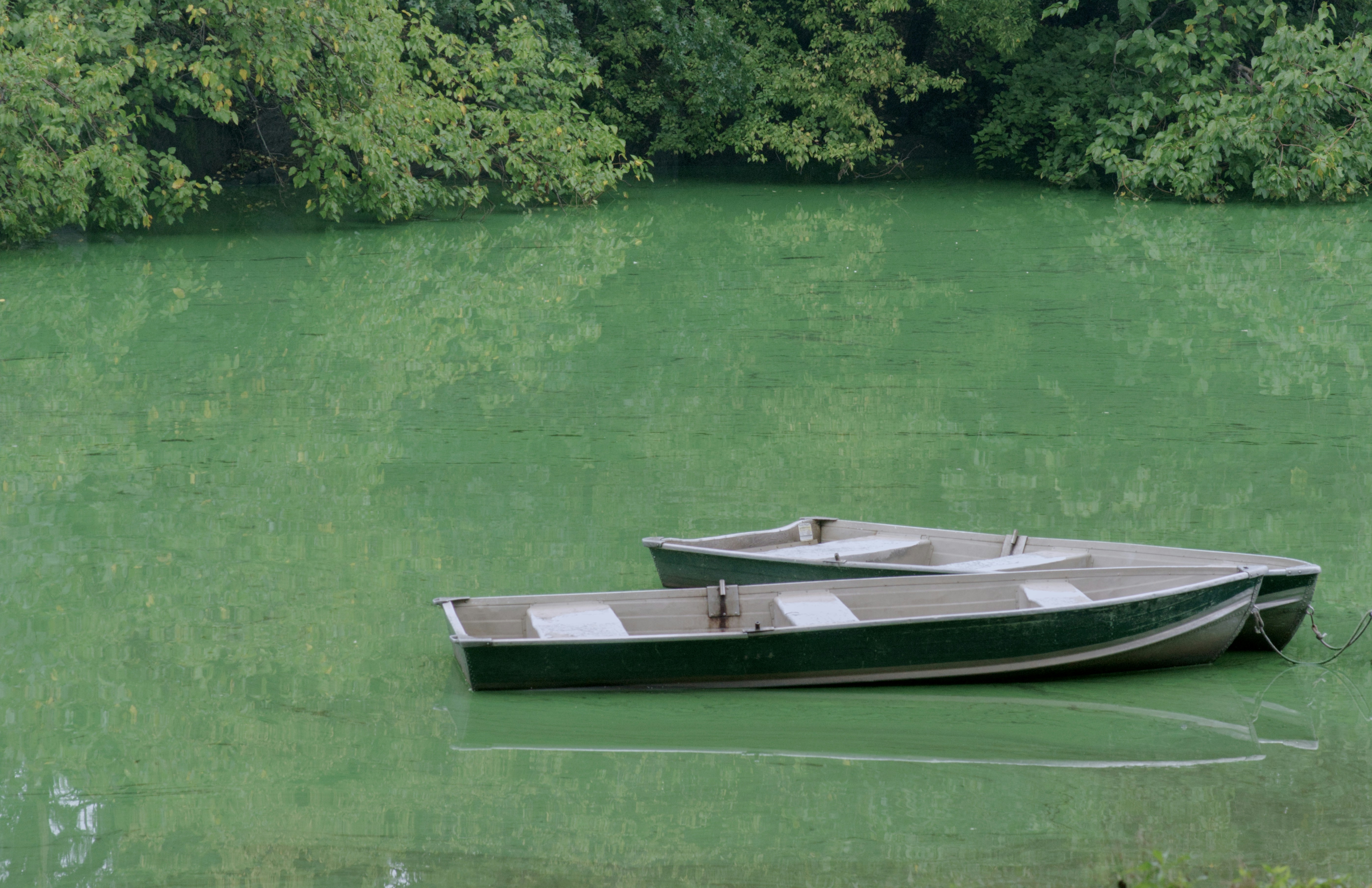 Emerald Lake: Two Rowboats Rest Between Green Reflections