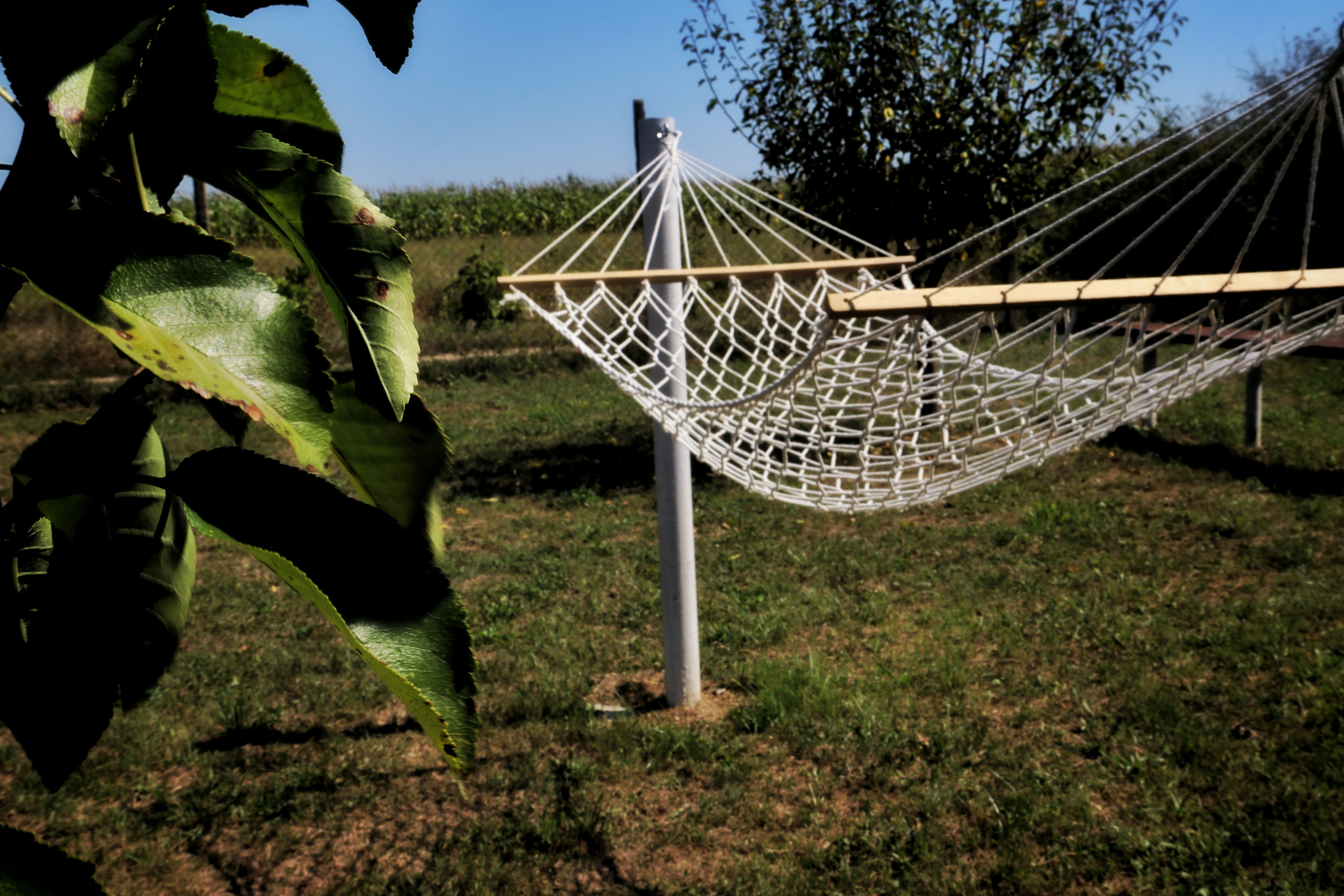 White metal net on green grass field during daytime photo – Free Sibiu ...