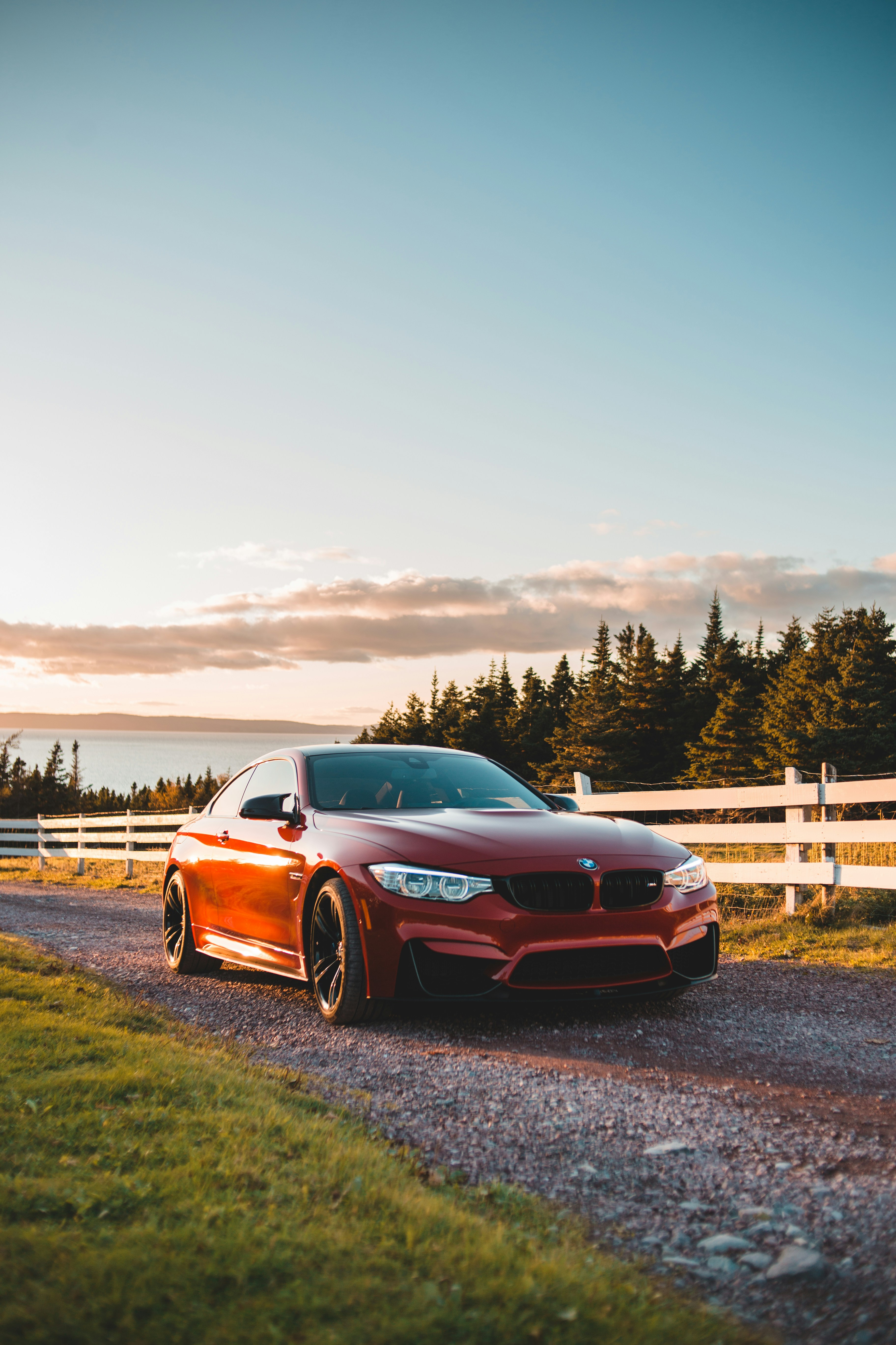 Orange chevrolet camaro on green grass field during daytime photo ...