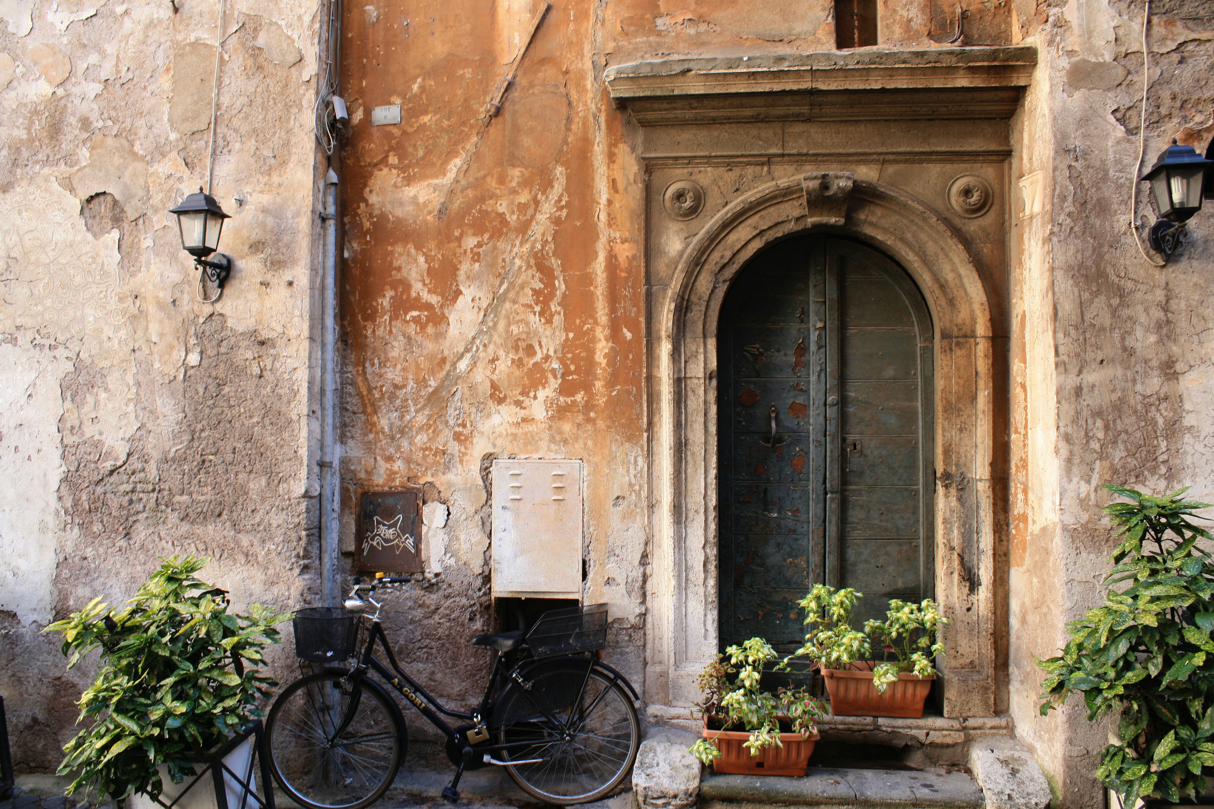 black bicycle parked beside brown wooden door