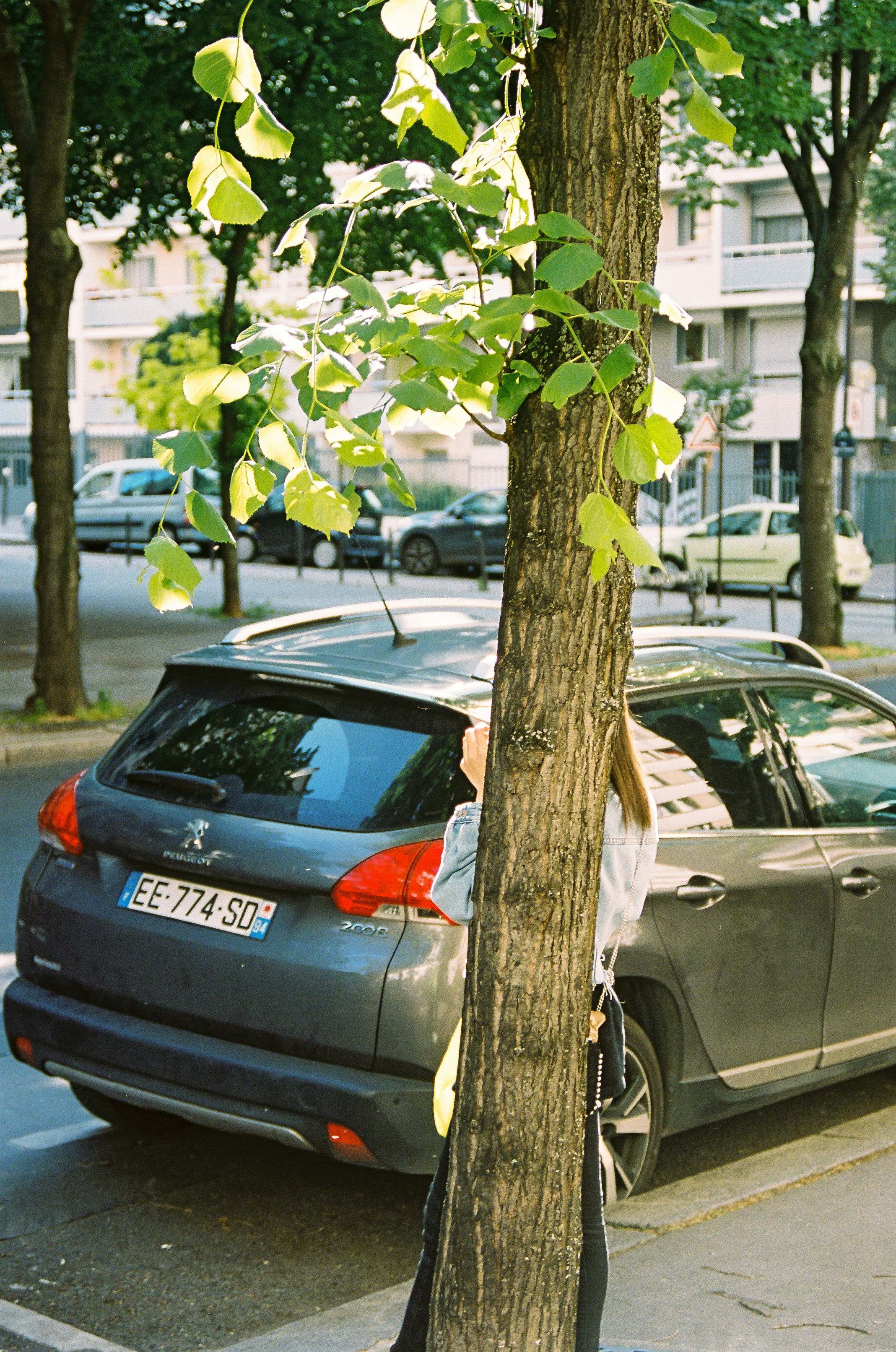 Veiled by the Tree: A City Street Encounter with a Hidden Figure and a Blue Peugeot