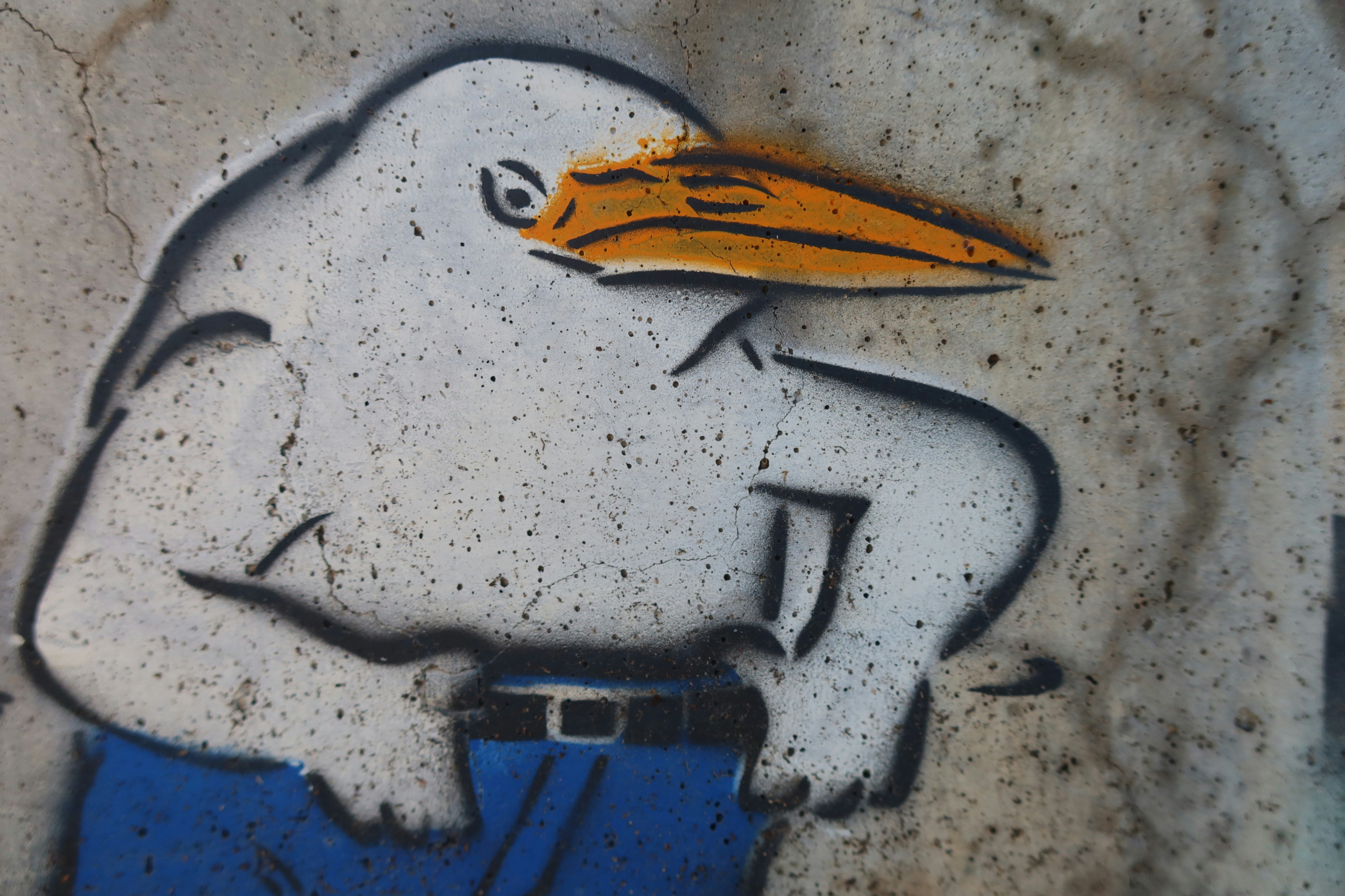 Orit Matee (@splashcom) | Komunitas Foto Unsplash