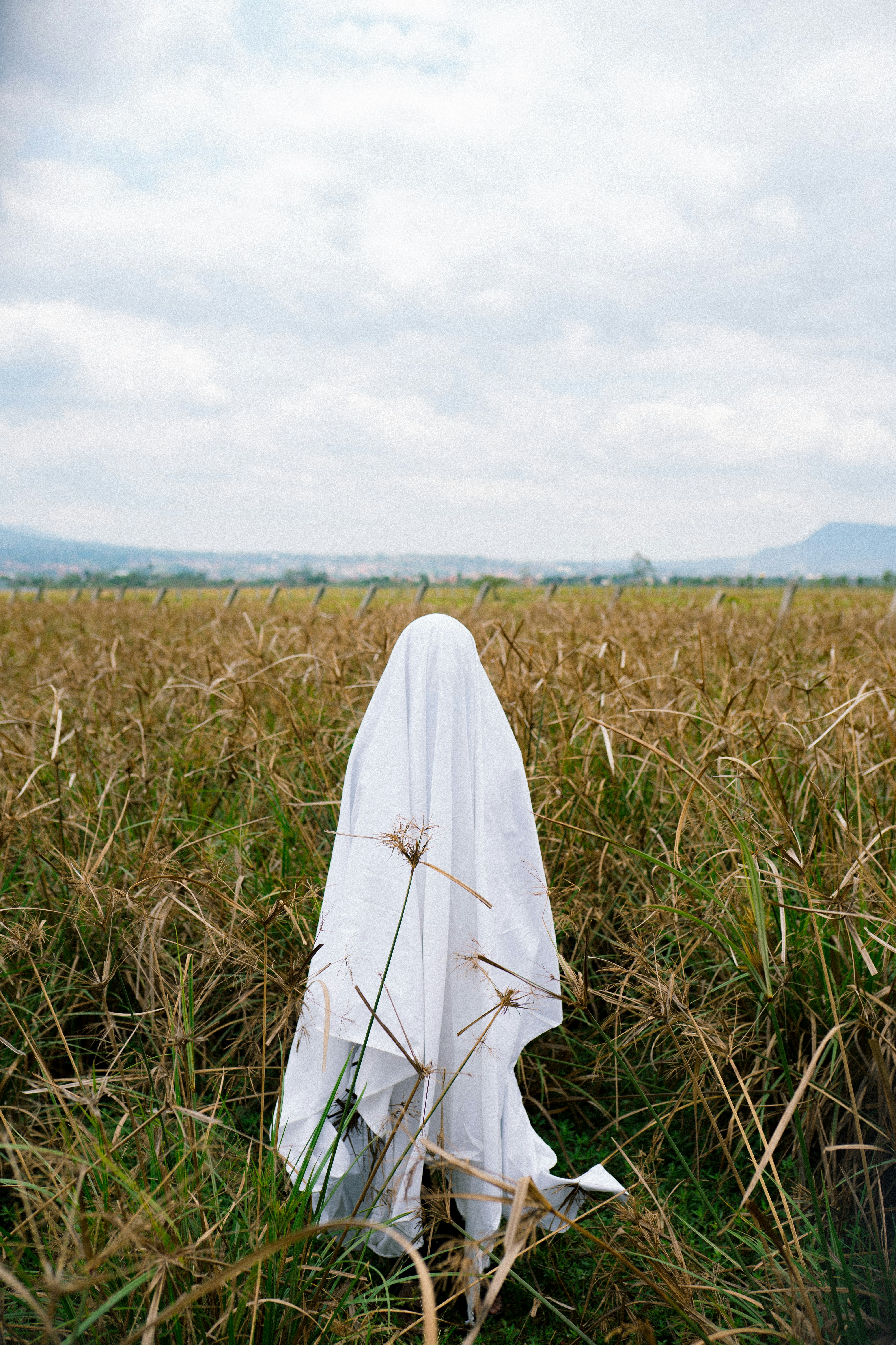 Ghost in the Harvest: A Silent Silhouette Among Tall Grasses
