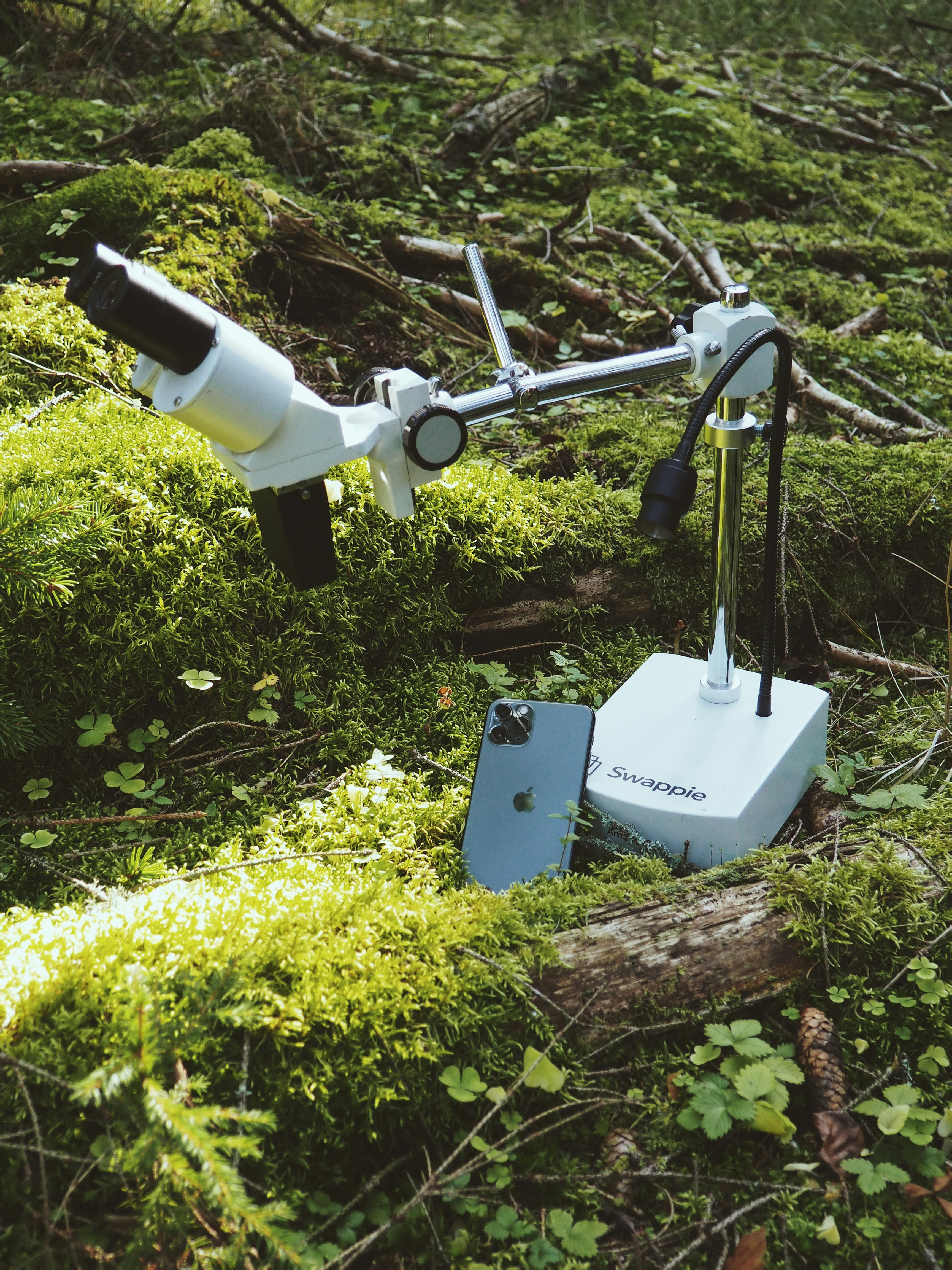 A microscope setup surrounded by lush green moss and fallen branches, highlighting the intersection of nature and technology. An iPhone rests nearby, suggesting a modern approach to exploration.