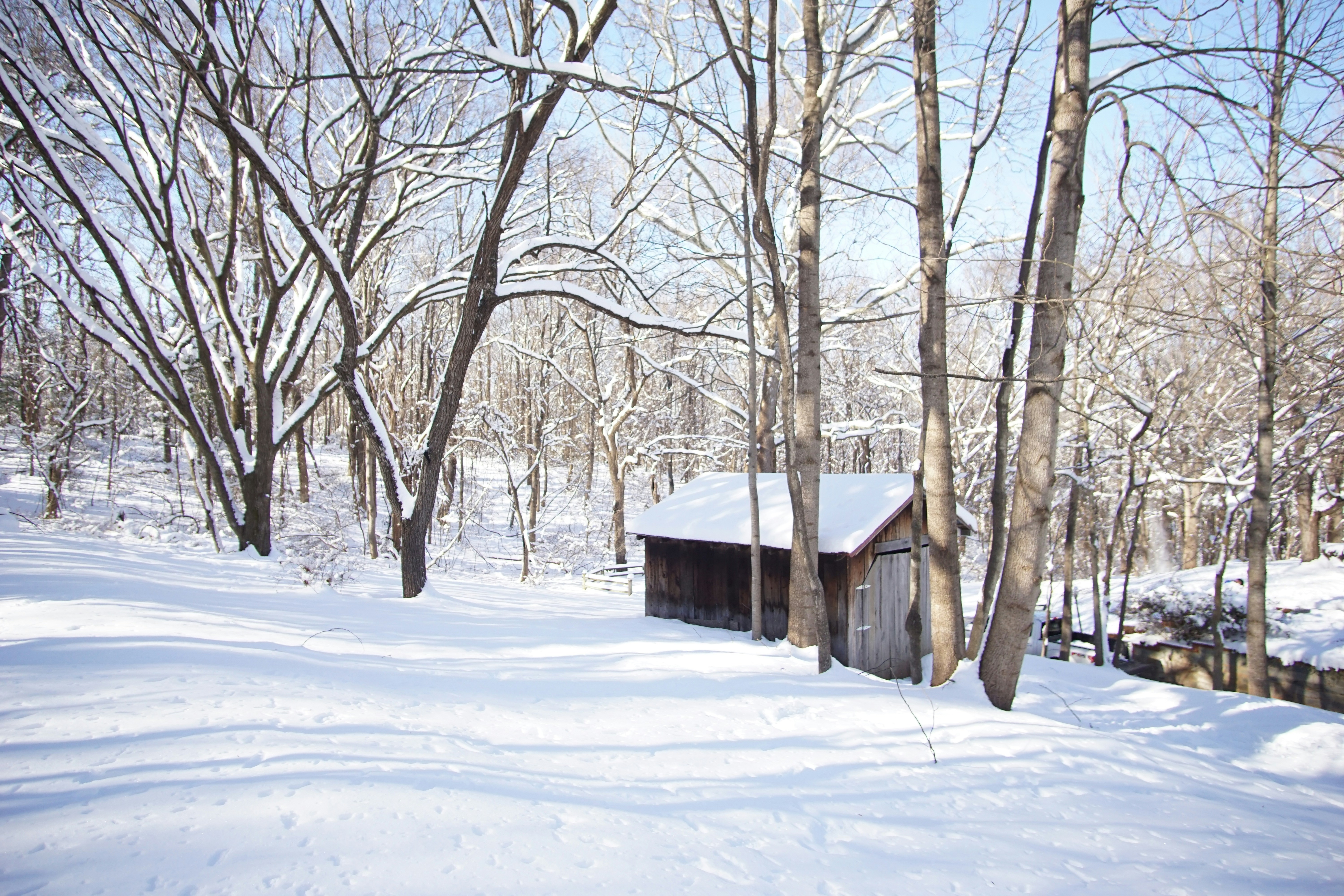 Wooden cabin nestled in a snowy forest surrounded by bare trees.