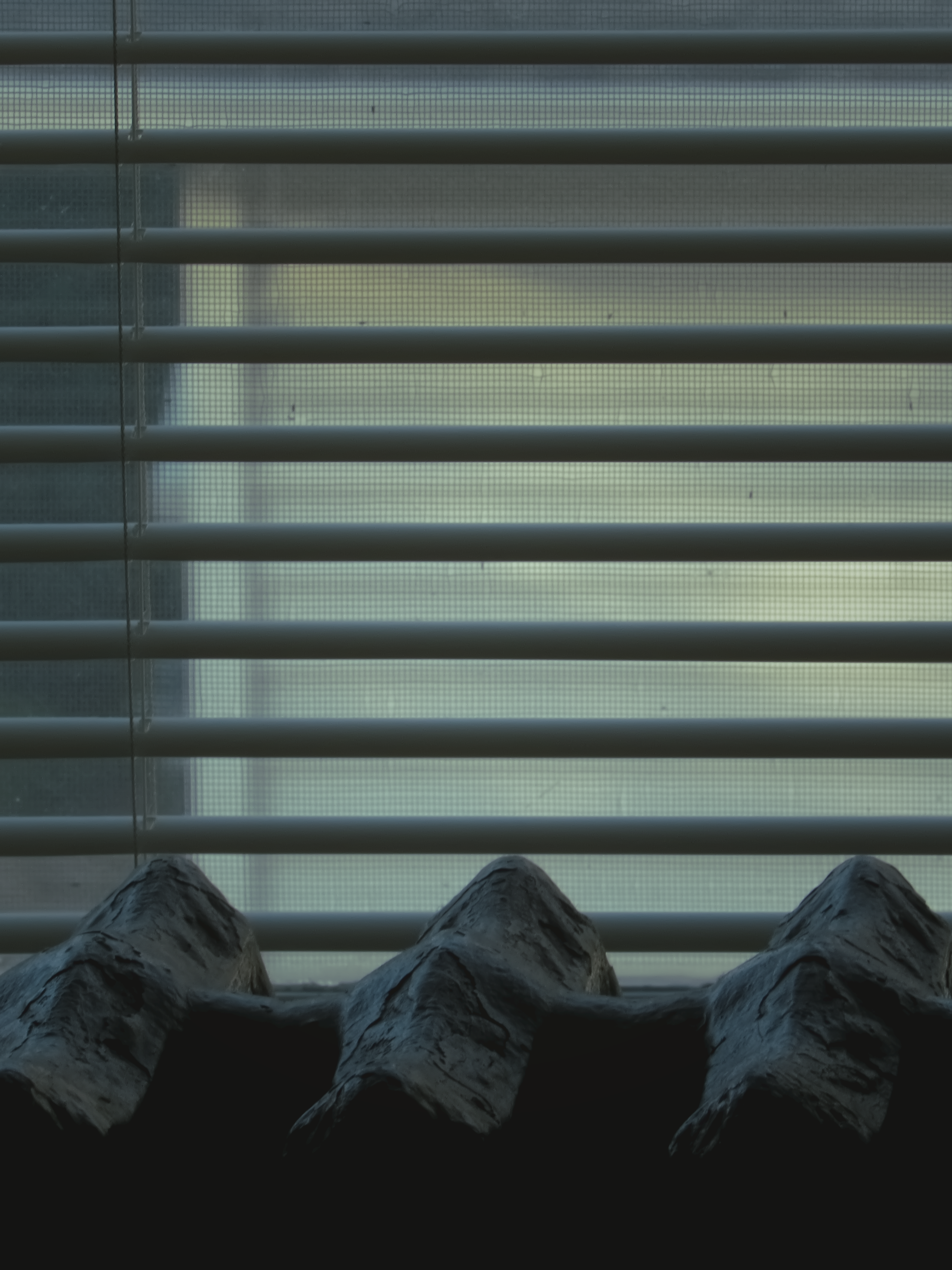 Tim Busch (@timweekly) | Unsplash Photo Community