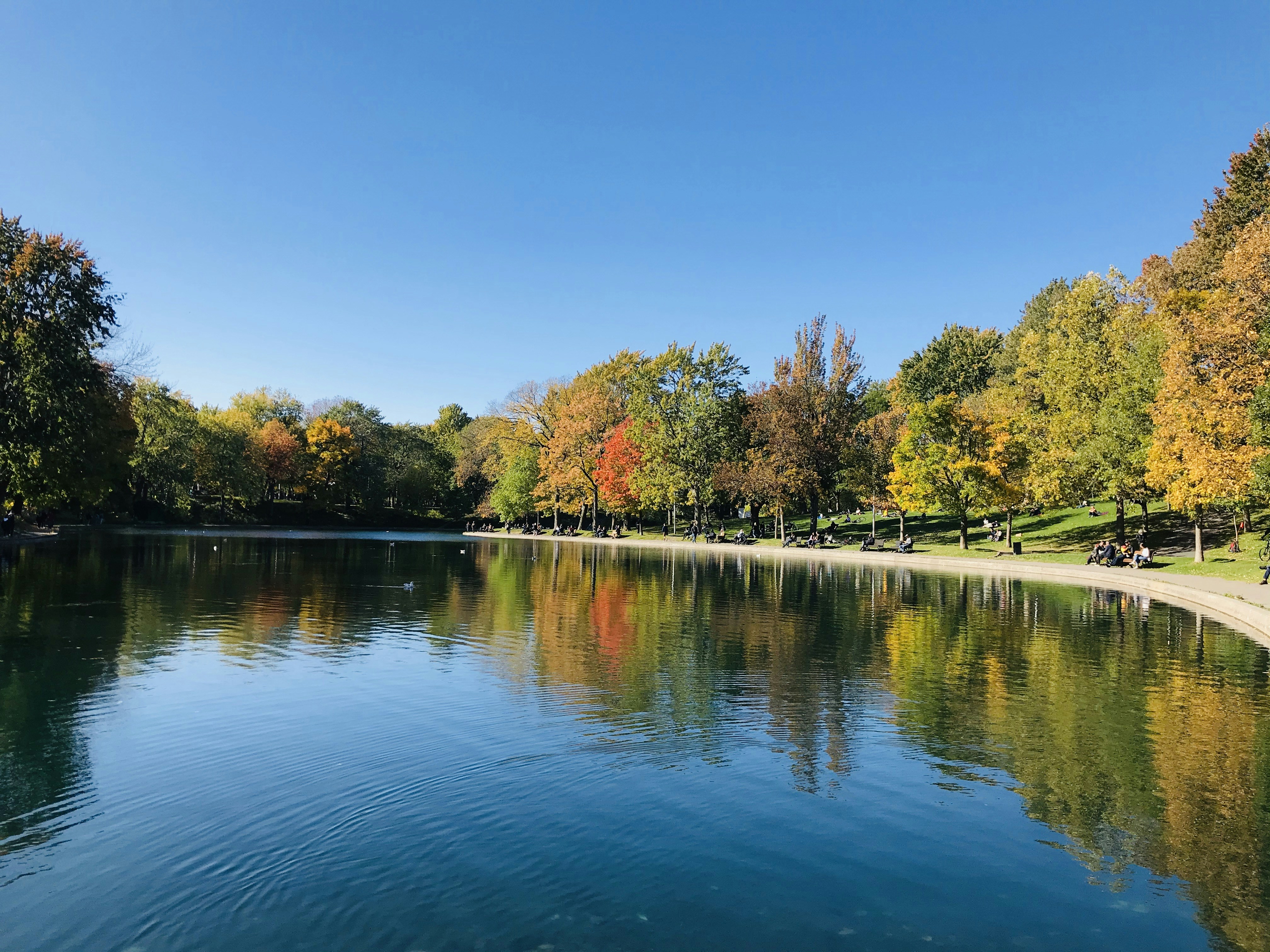 Goulet Isabelle (@isabelleg2020) | Communauté photos Unsplash