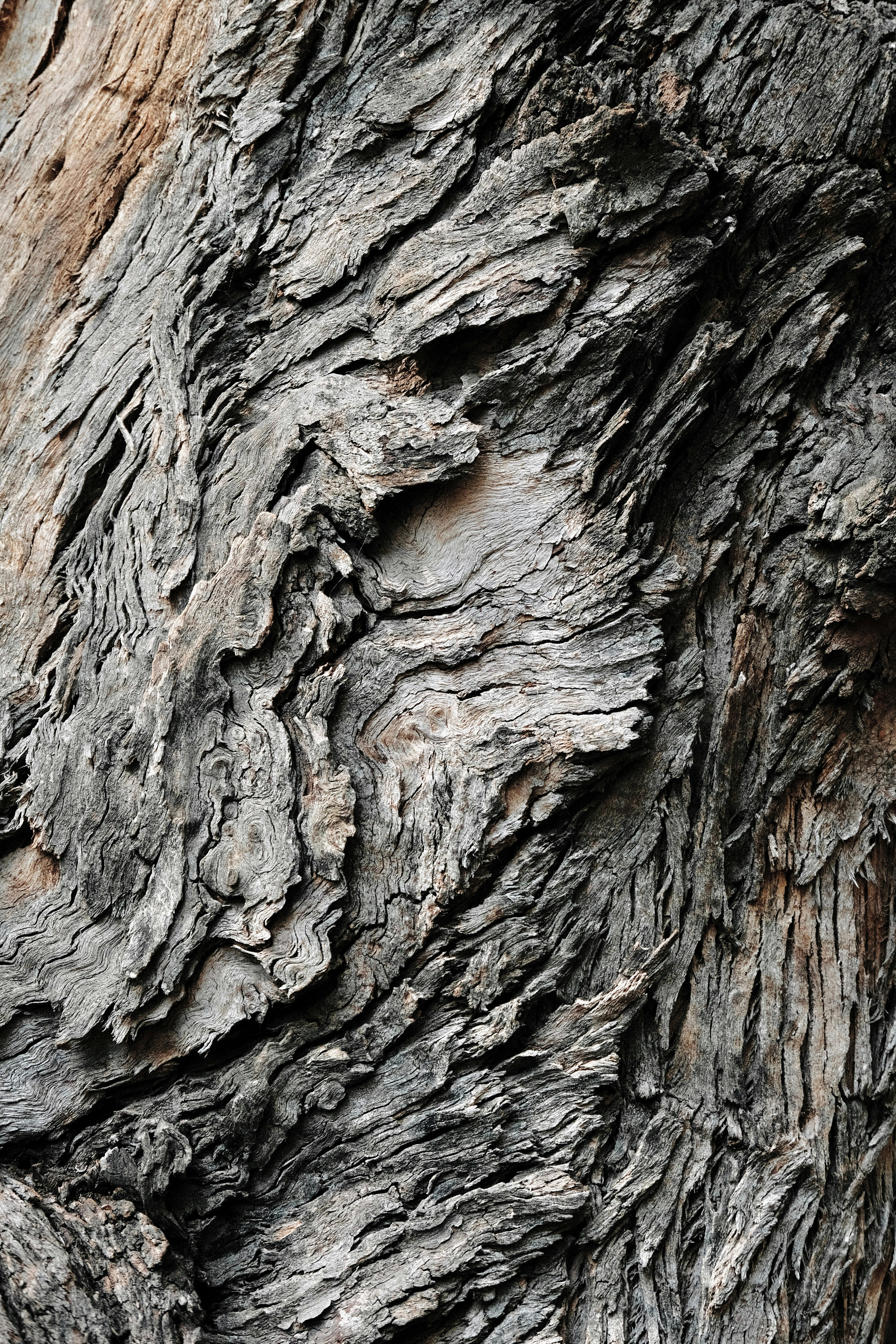 Nature Patterns | 8 best free pattern, texture, wallpaper and ...