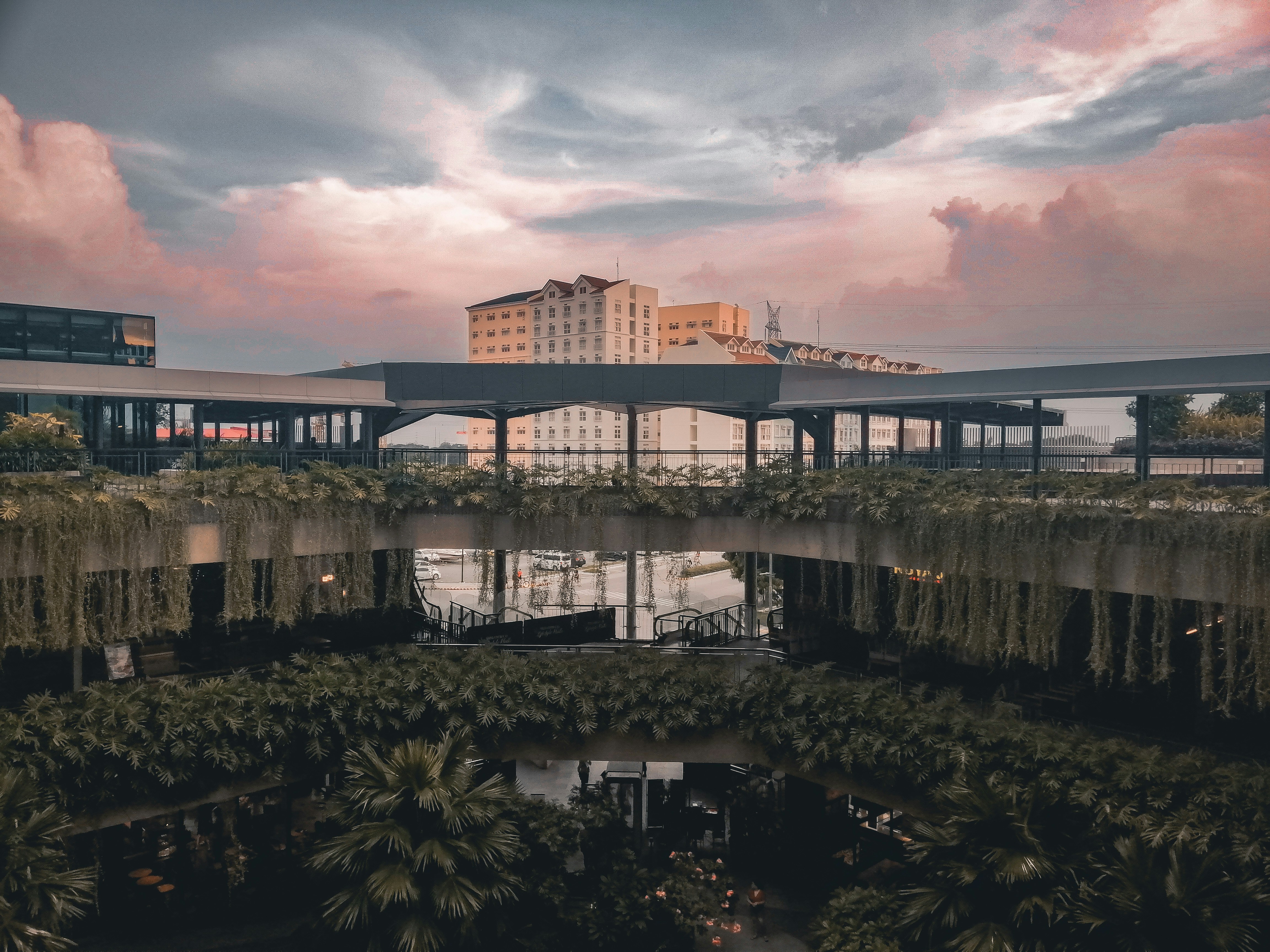 Palm trees surround a tranquil water body beneath a dramatic cloudscape in an urban setting.