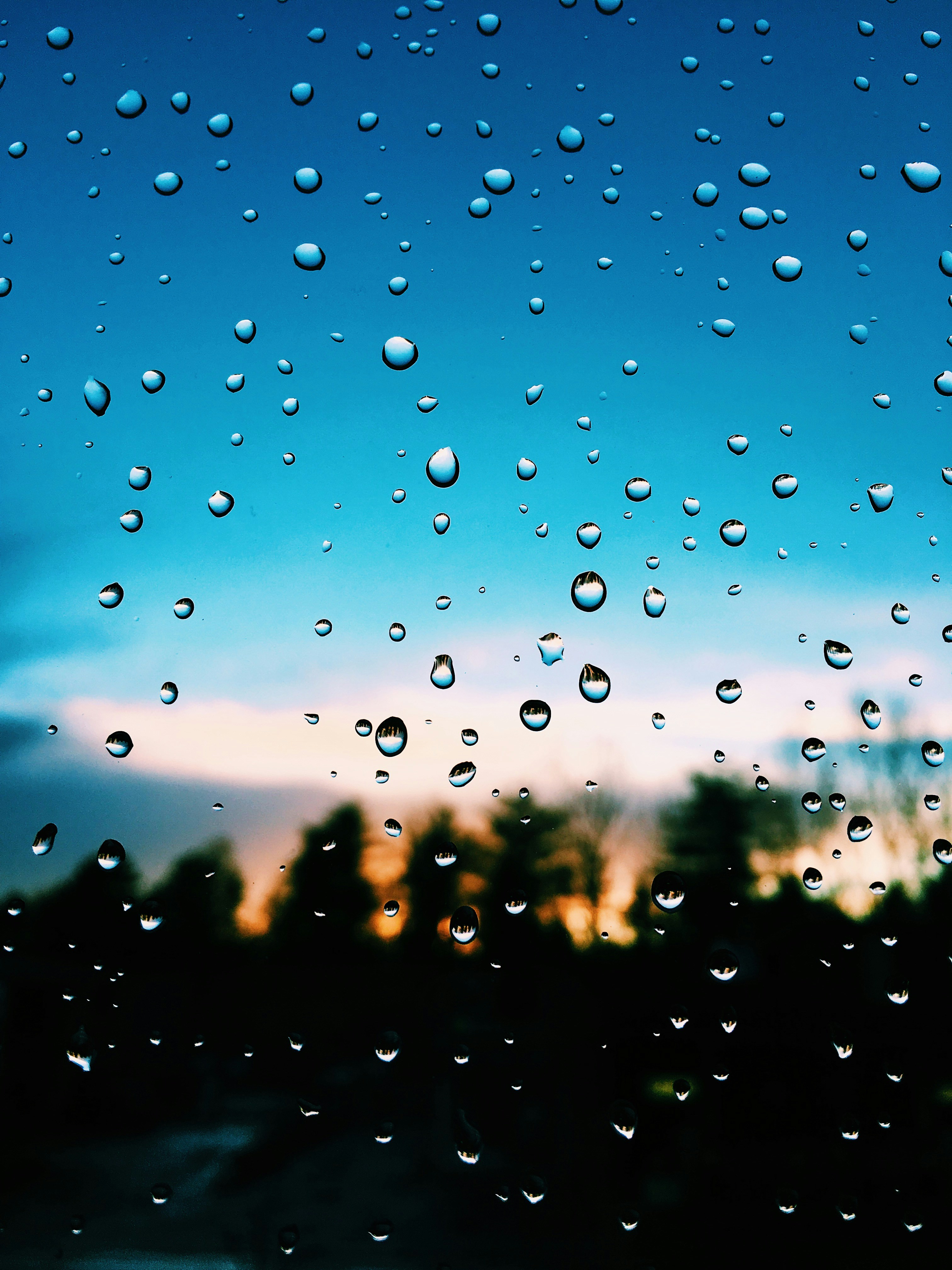 Jill Bijloos (@bijzicht) | Communauté photos Unsplash