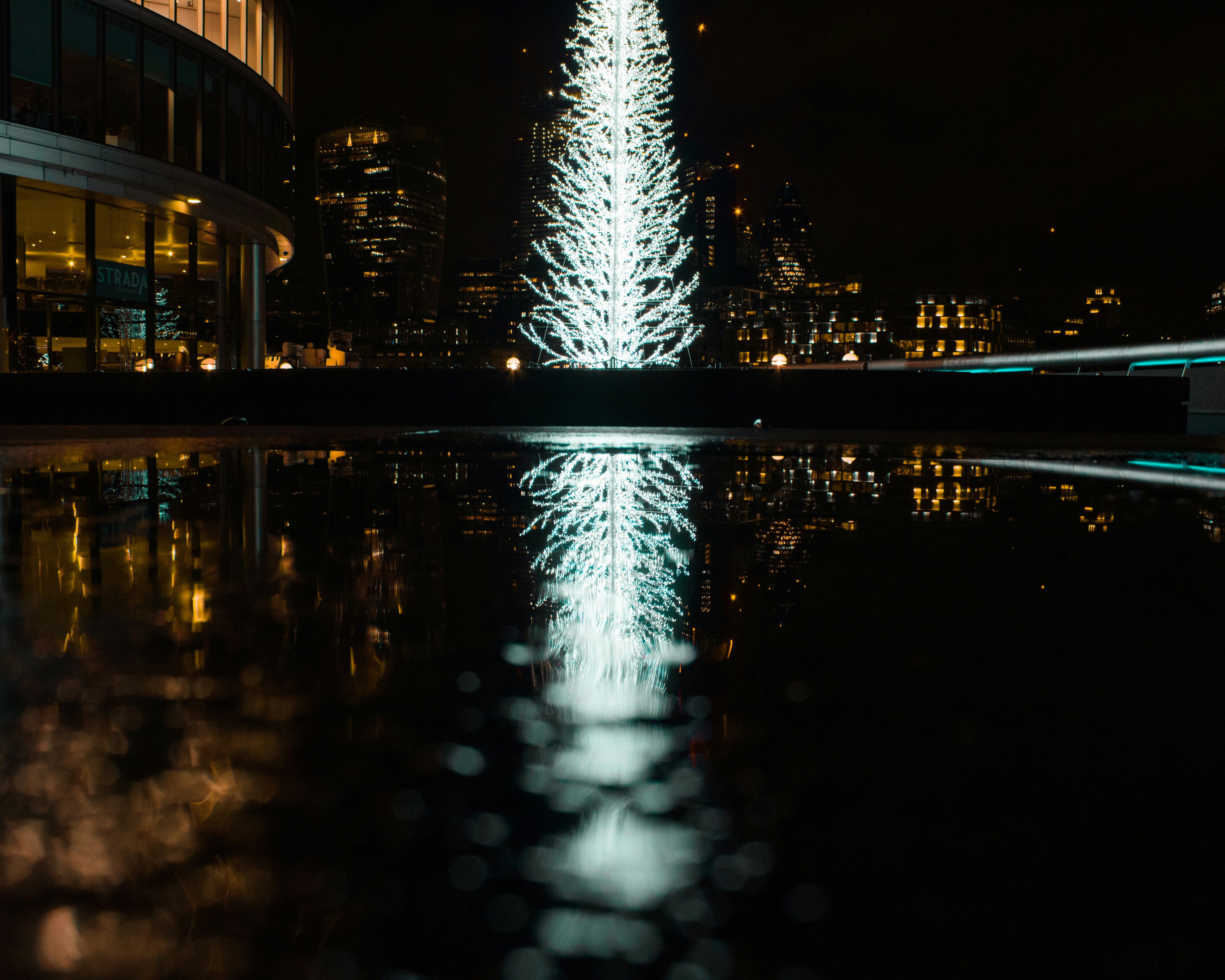 Midnight Neon: The crystal tree rising over a calm city waterfront
