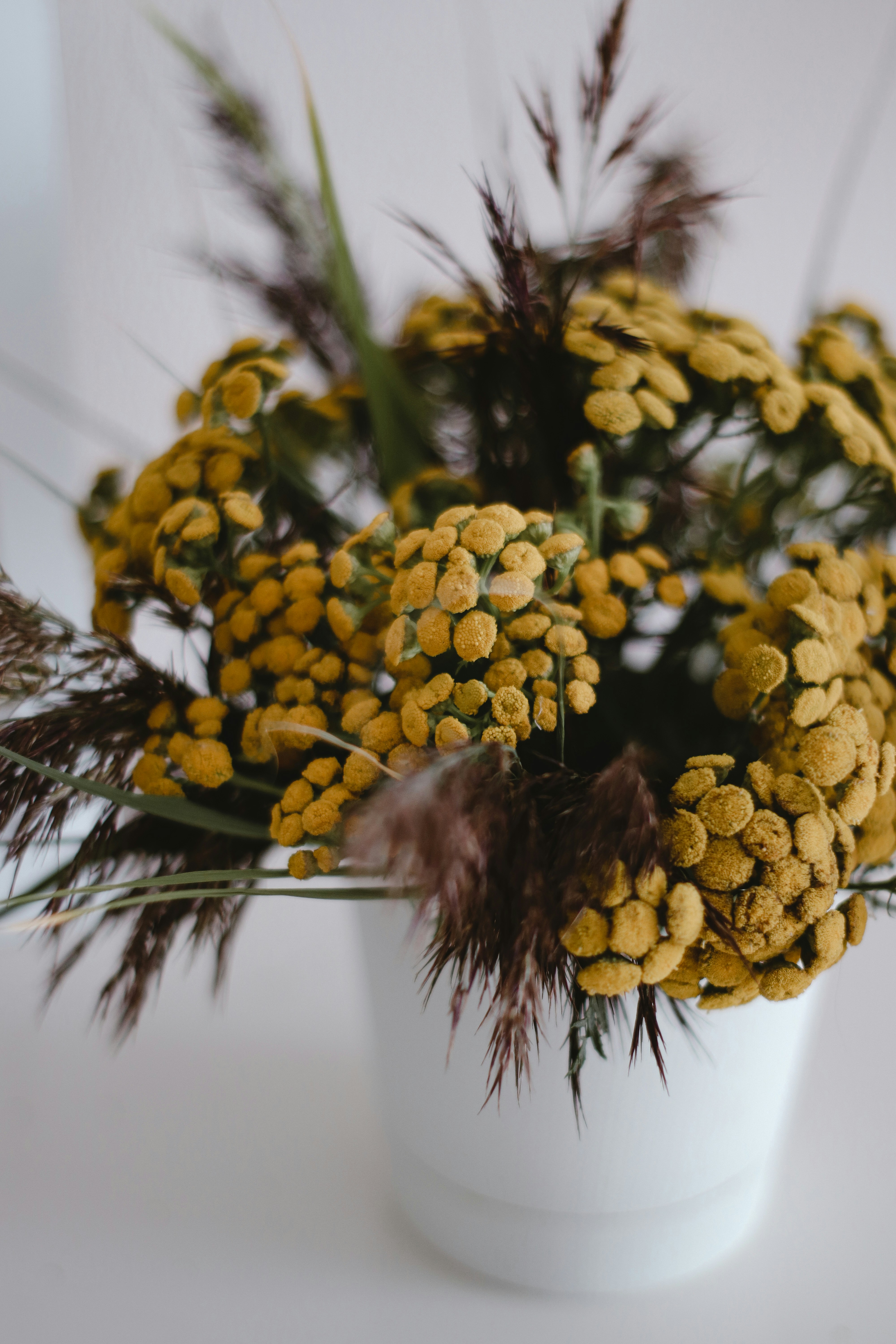 A vibrant arrangement of yellow flowers and delicate grasses in a white pot, showcasing nature's artistry in a minimalist setting.
