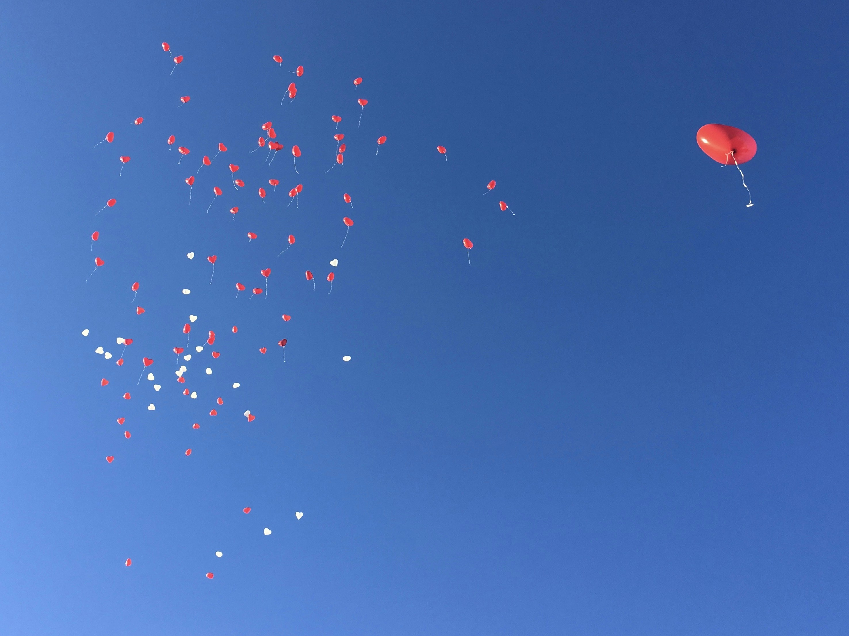 Red balloon floating on blue sky during daytime photo – Free Blue Image ...