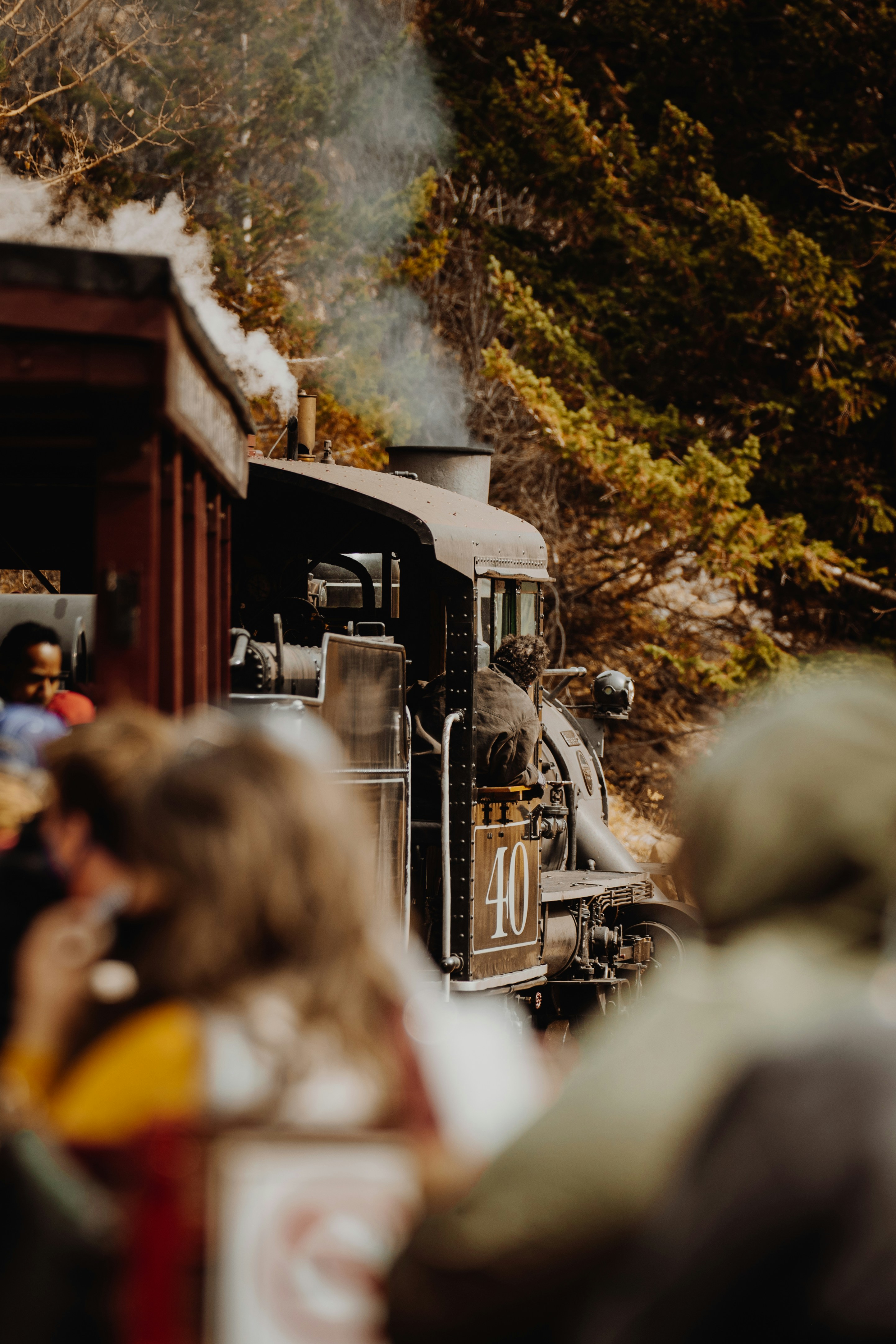 Steam and Spectators: A Narrow-Gauge Moment Amid Autumn Leaves