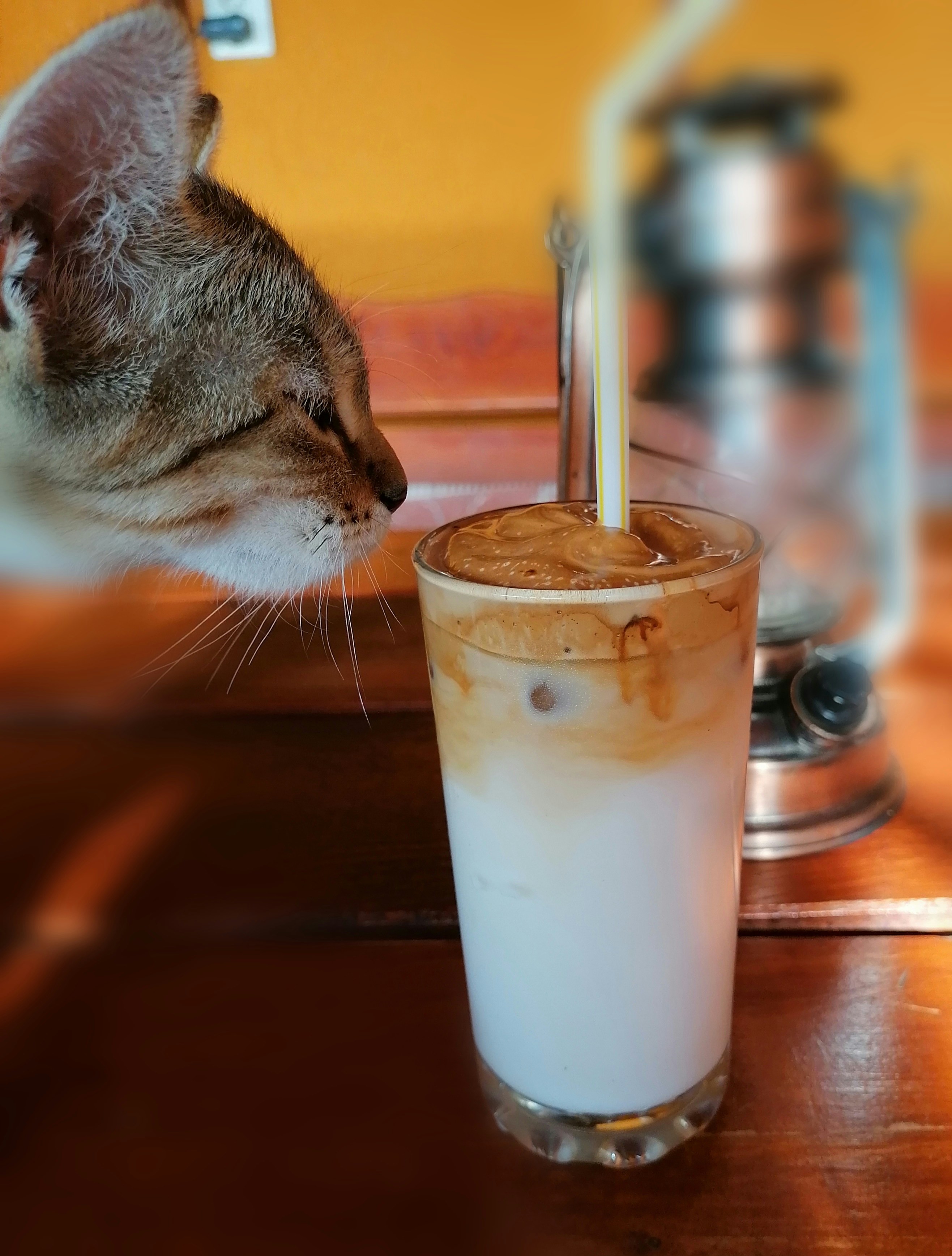 A cat curiously examines a glass of iced coffee with a straw, set against a warm-toned background. The scene captures the playful interaction between the feline and the drink.