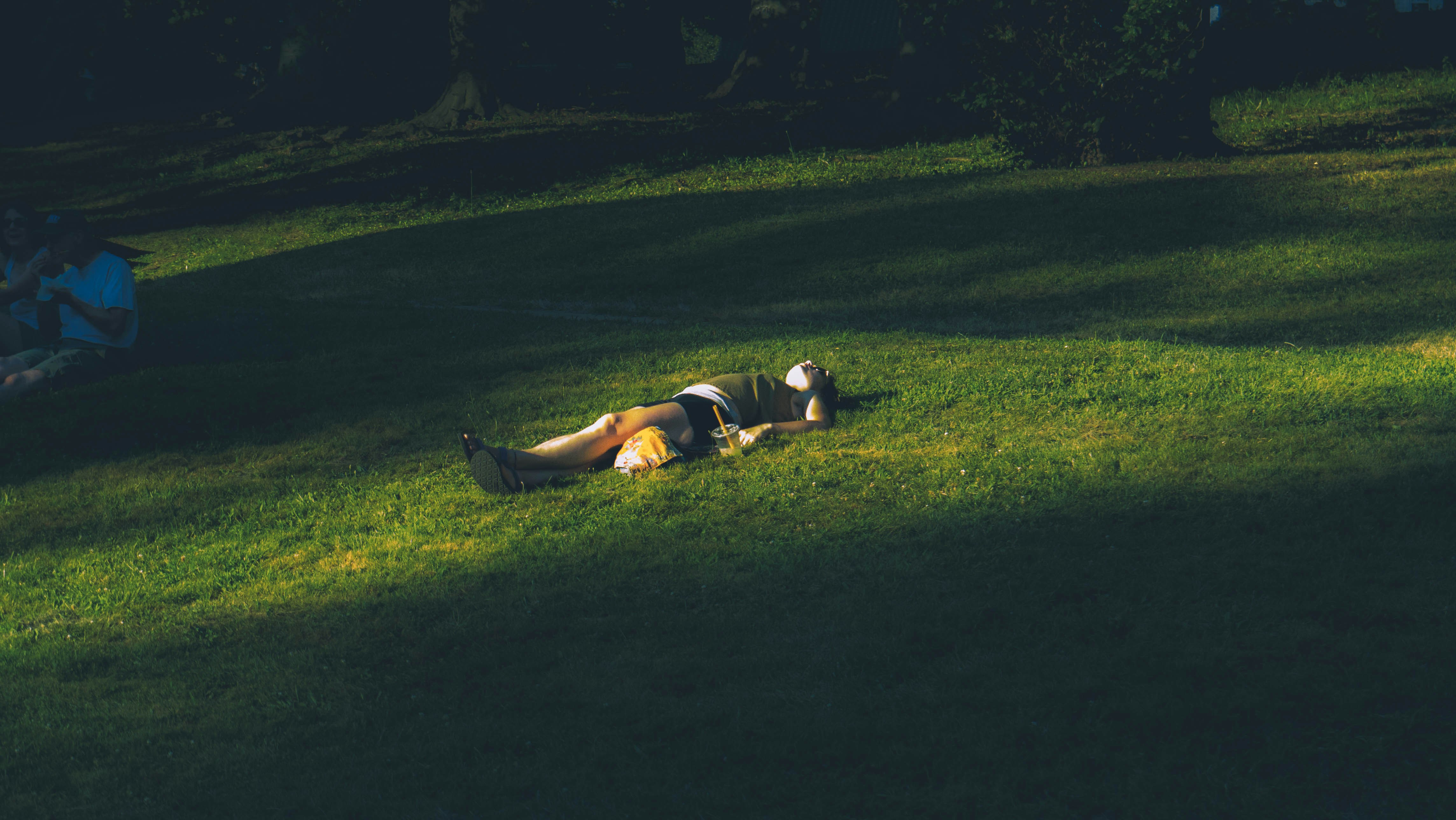 A person relaxing on a sun-drenched lawn, embraced by shadows and light. The scene captures a moment of tranquility in a vibrant outdoor setting.