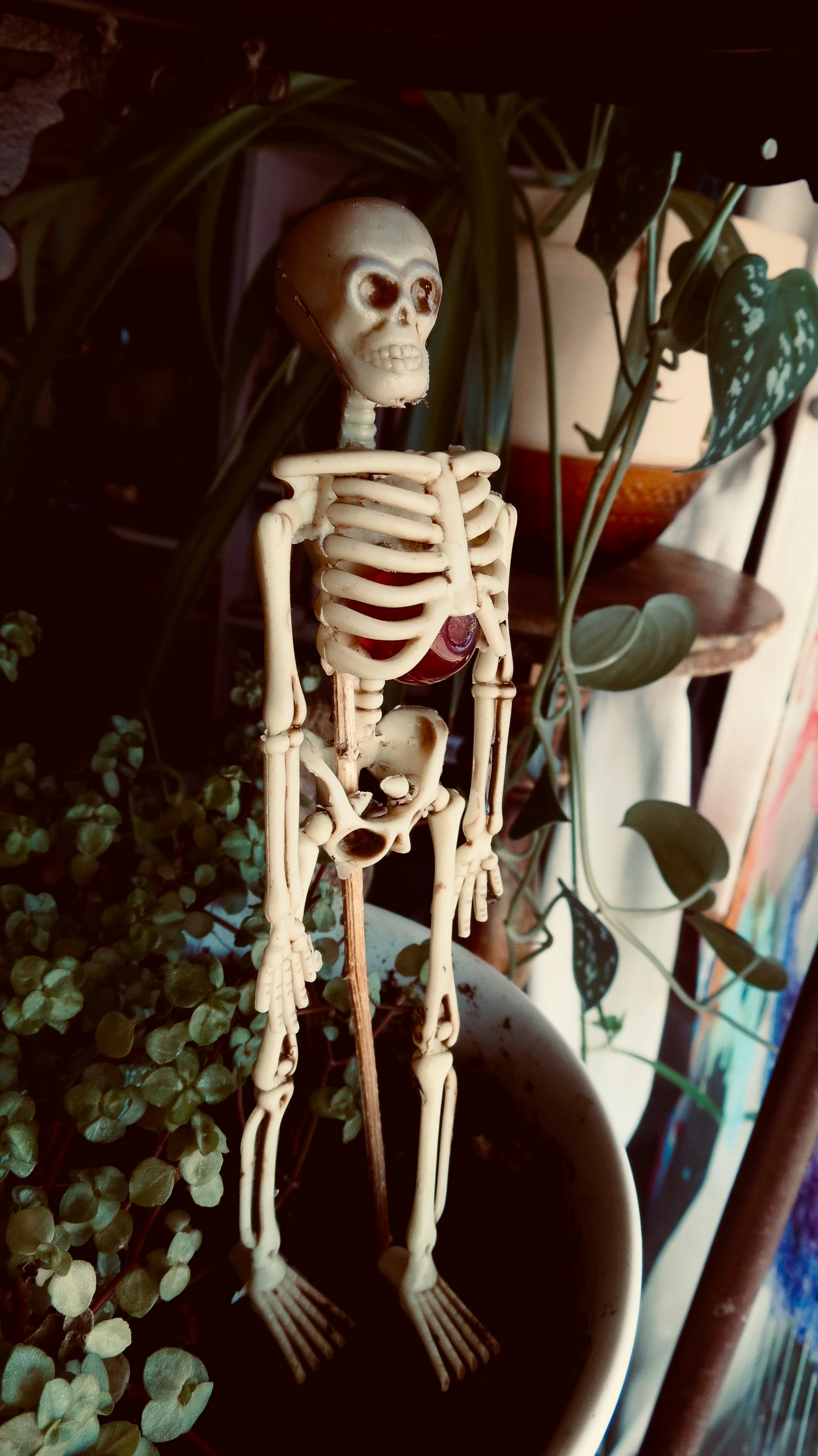Skeleton in the Ferns: A Quiet Still Life Among Houseplants