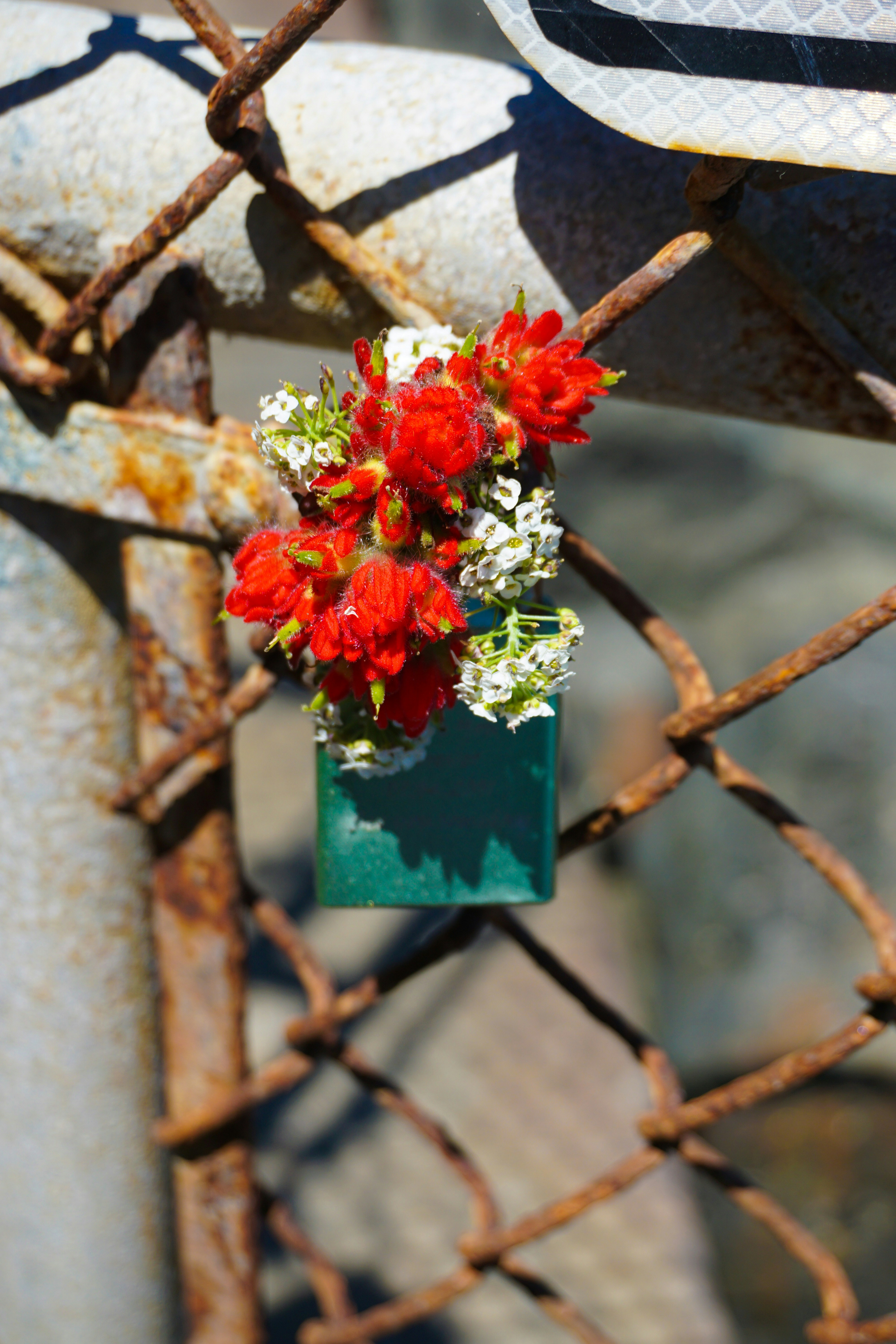 Red Bouquet on a Rusted Chain: A Fragment of Color Amid Decay
