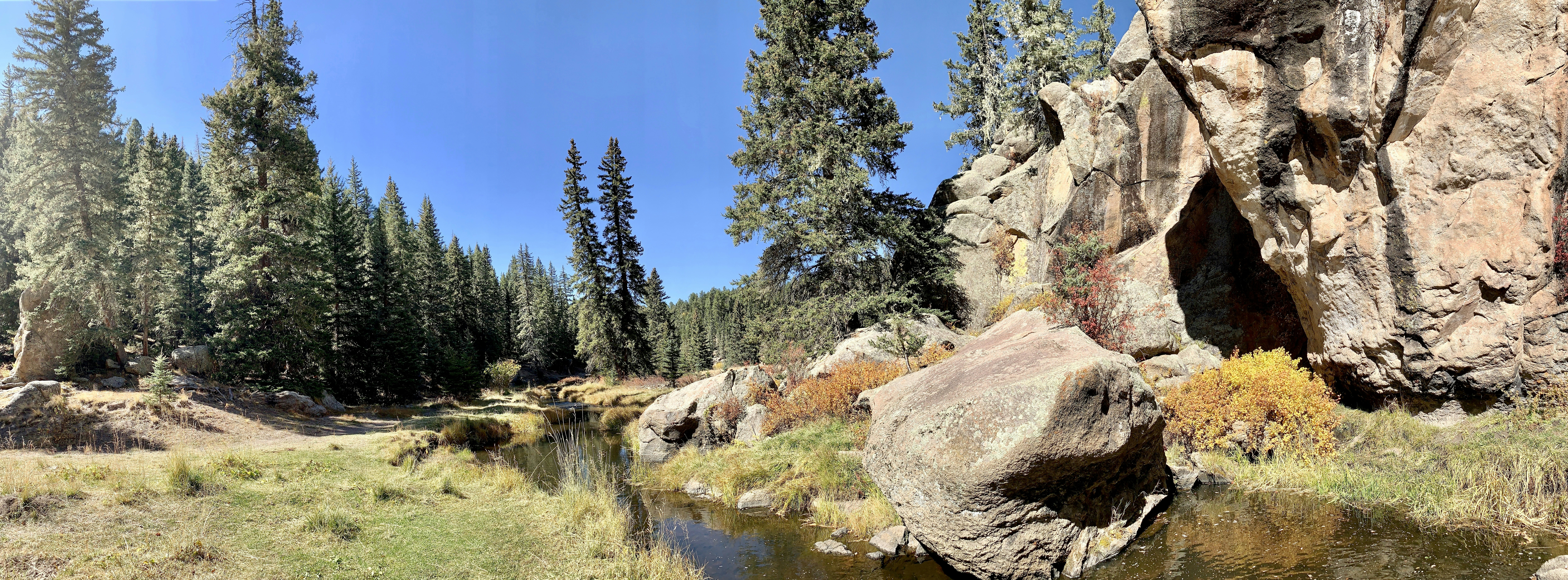 Green pine trees beside river during daytime photo – Free New mexico ...