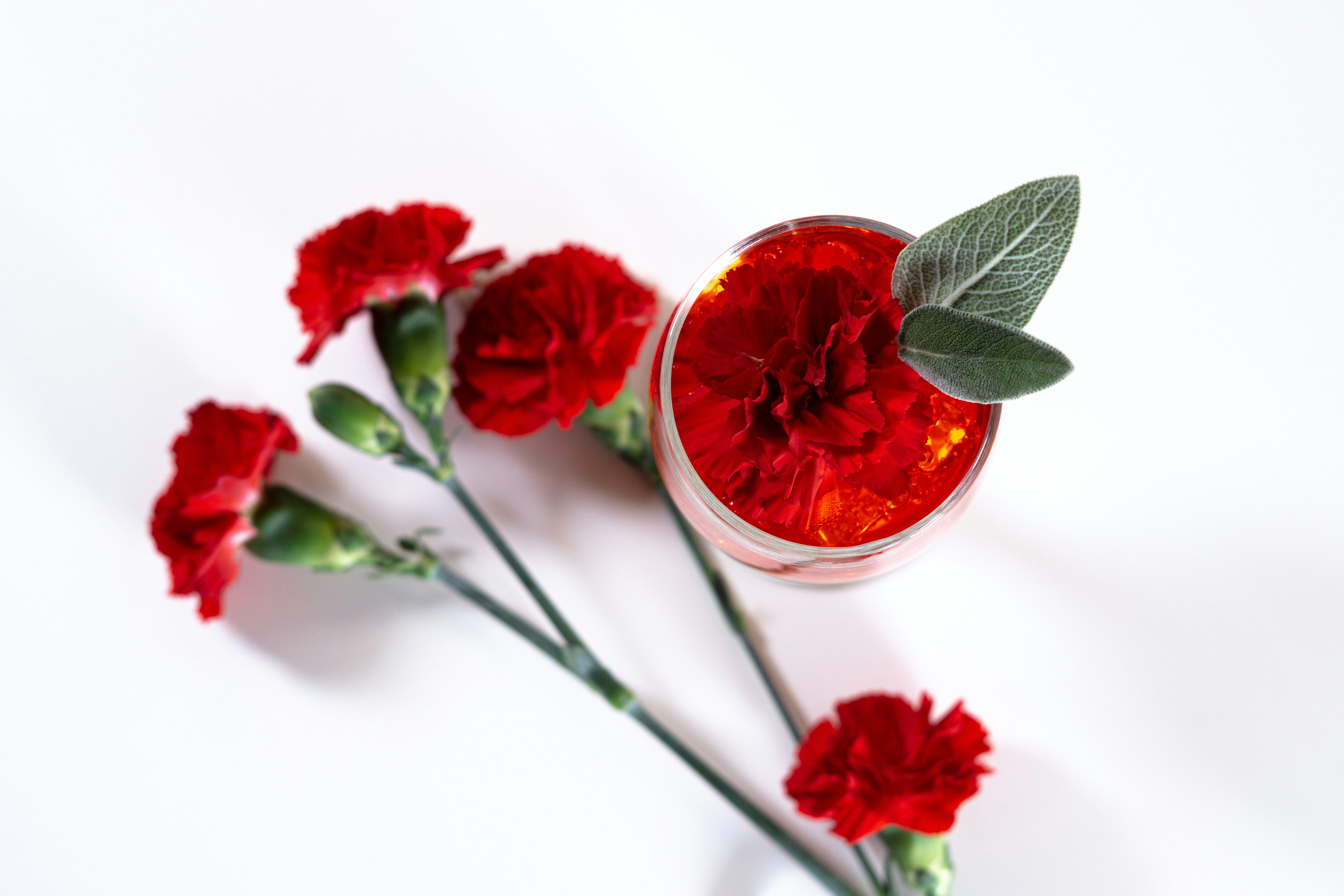 Mint leaves and red carnation flowers in a glass. 