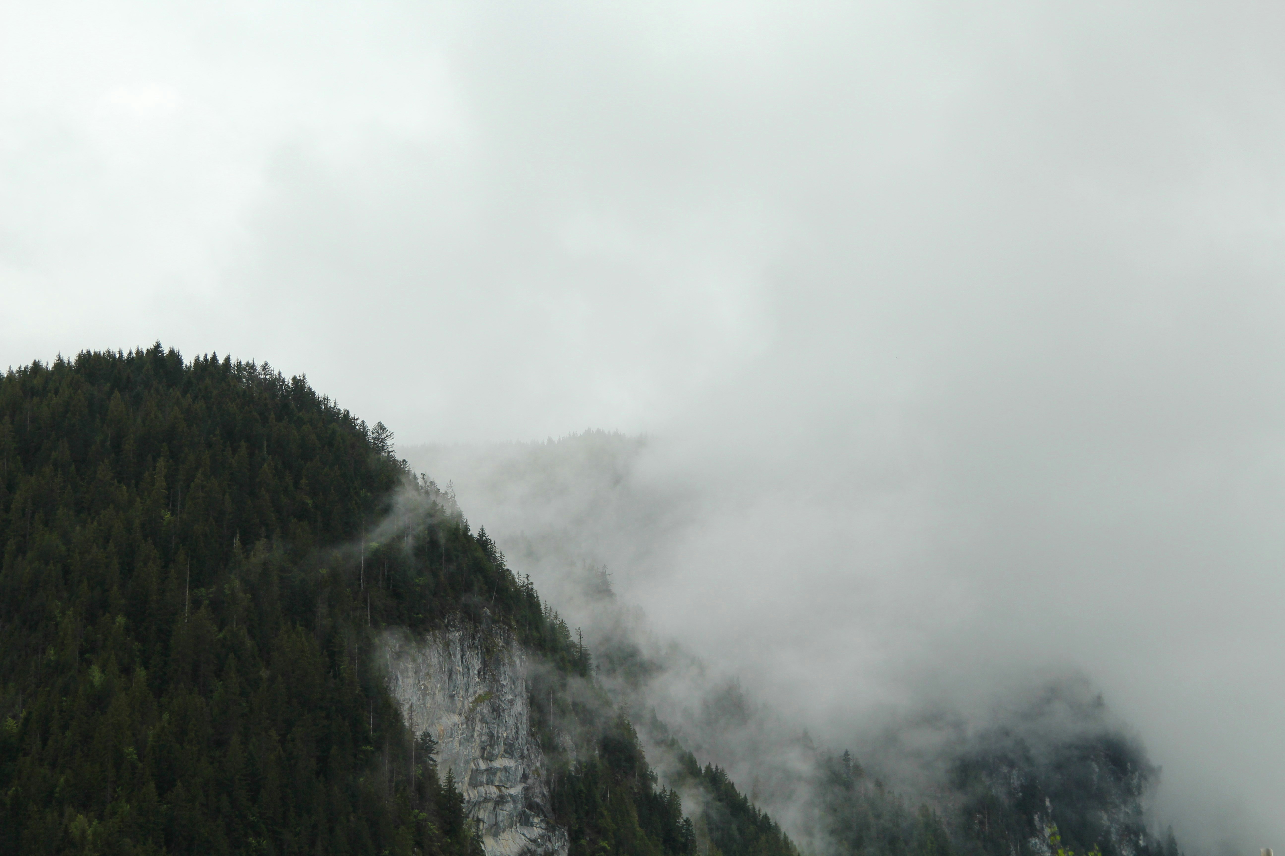 Misty mountain landscape shrouded in thick clouds, revealing hints of dense forest and rocky cliffs. The atmosphere evokes a sense of mystery and tranquility.
