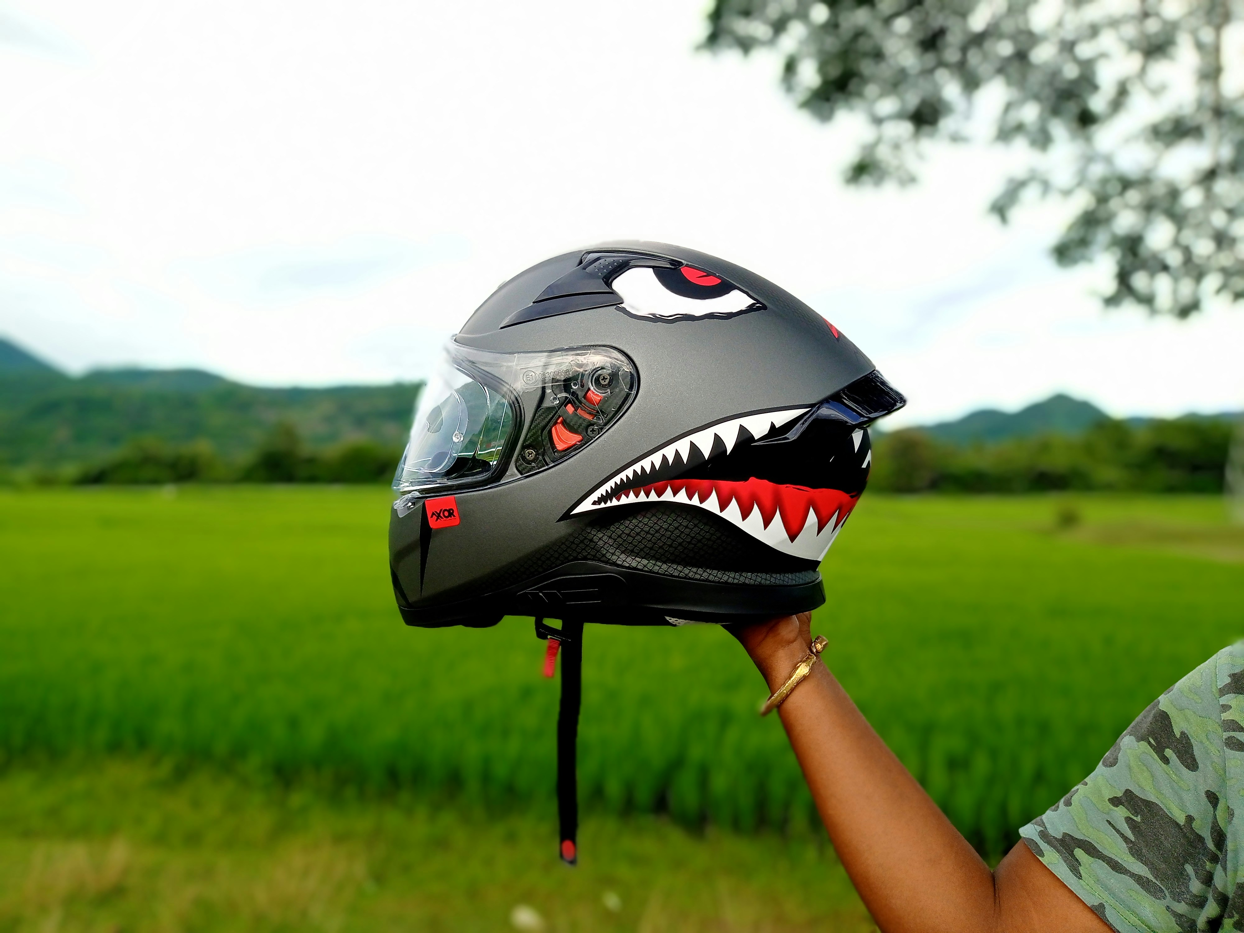 Motorcycle helmet featuring a fierce shark design, held against a backdrop of lush green fields and distant mountains.