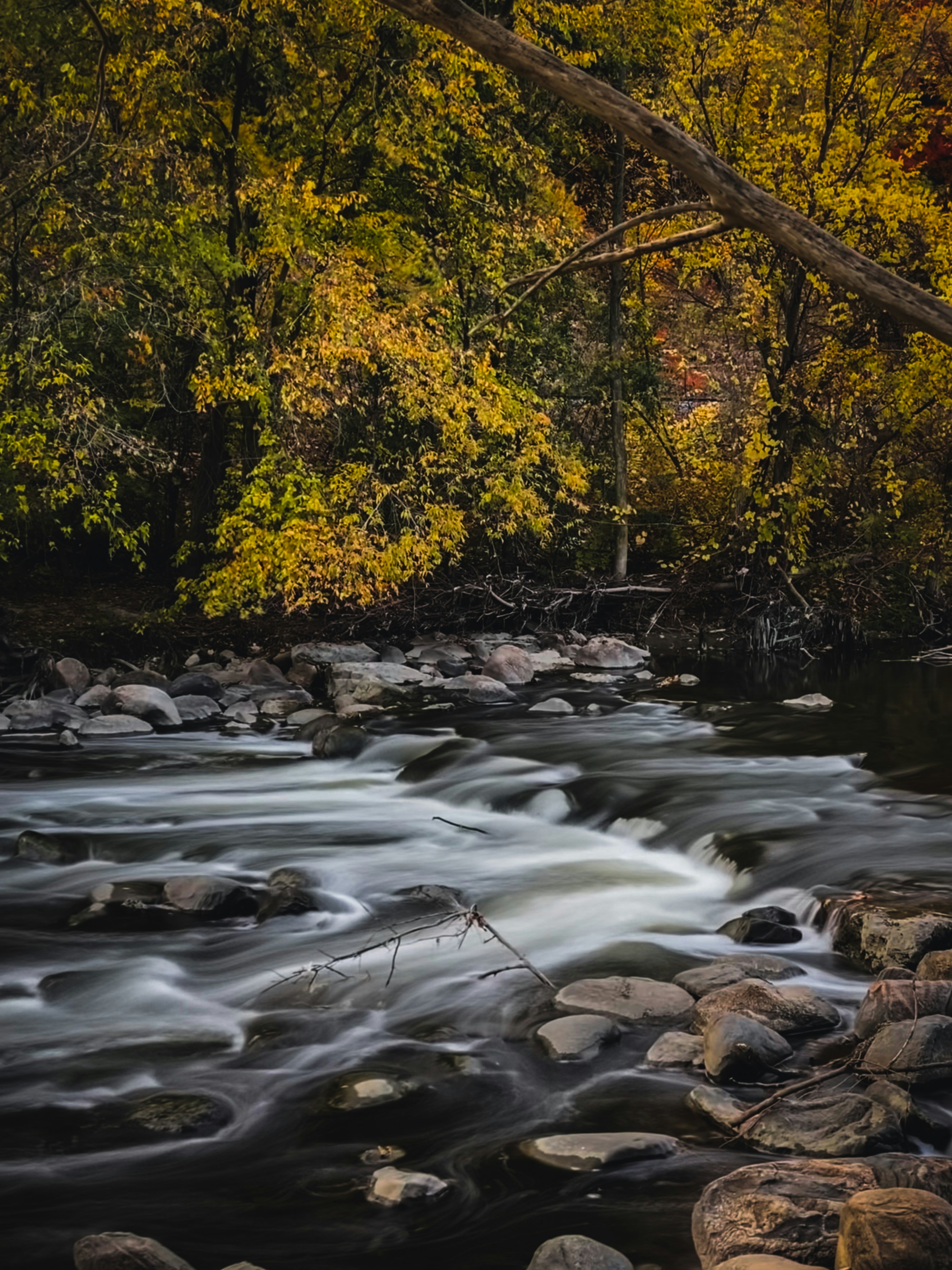 River Flow Pictures | Download Free Images on Unsplash