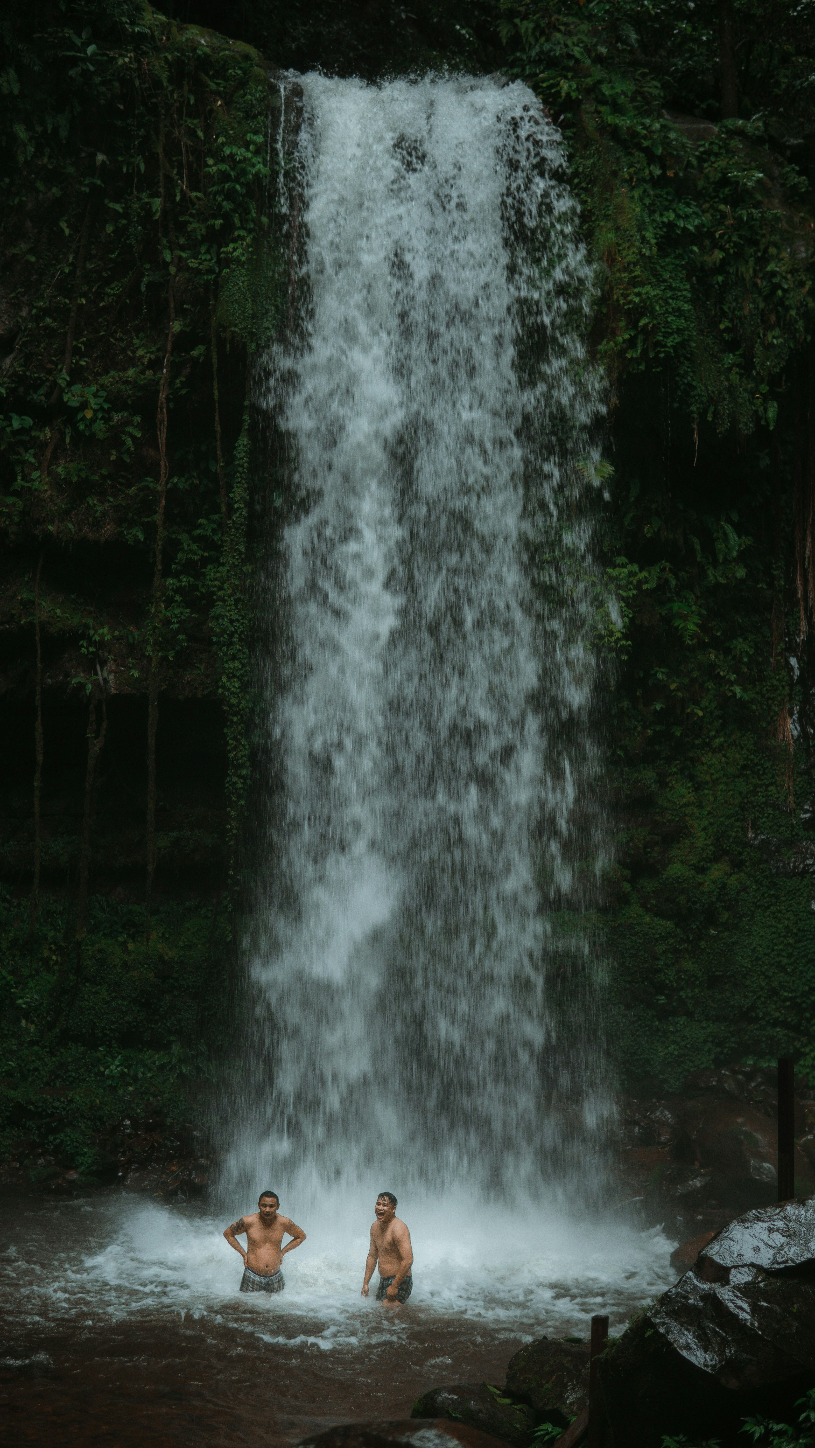 Two individuals enjoying a refreshing swim beneath a cascading waterfall surrounded by lush greenery.