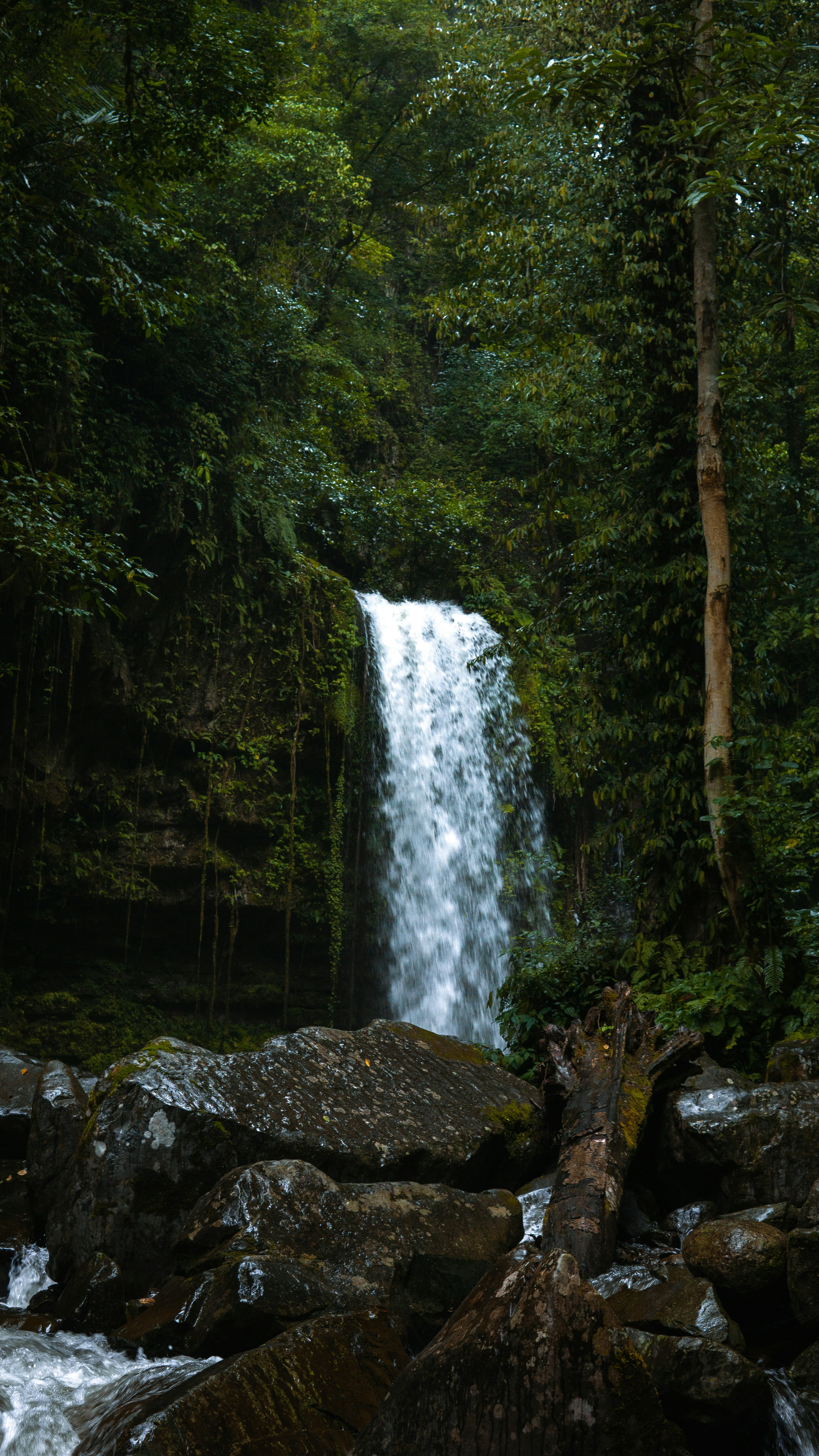 Water falls in the middle of the forest photo – Free Water Image on ...