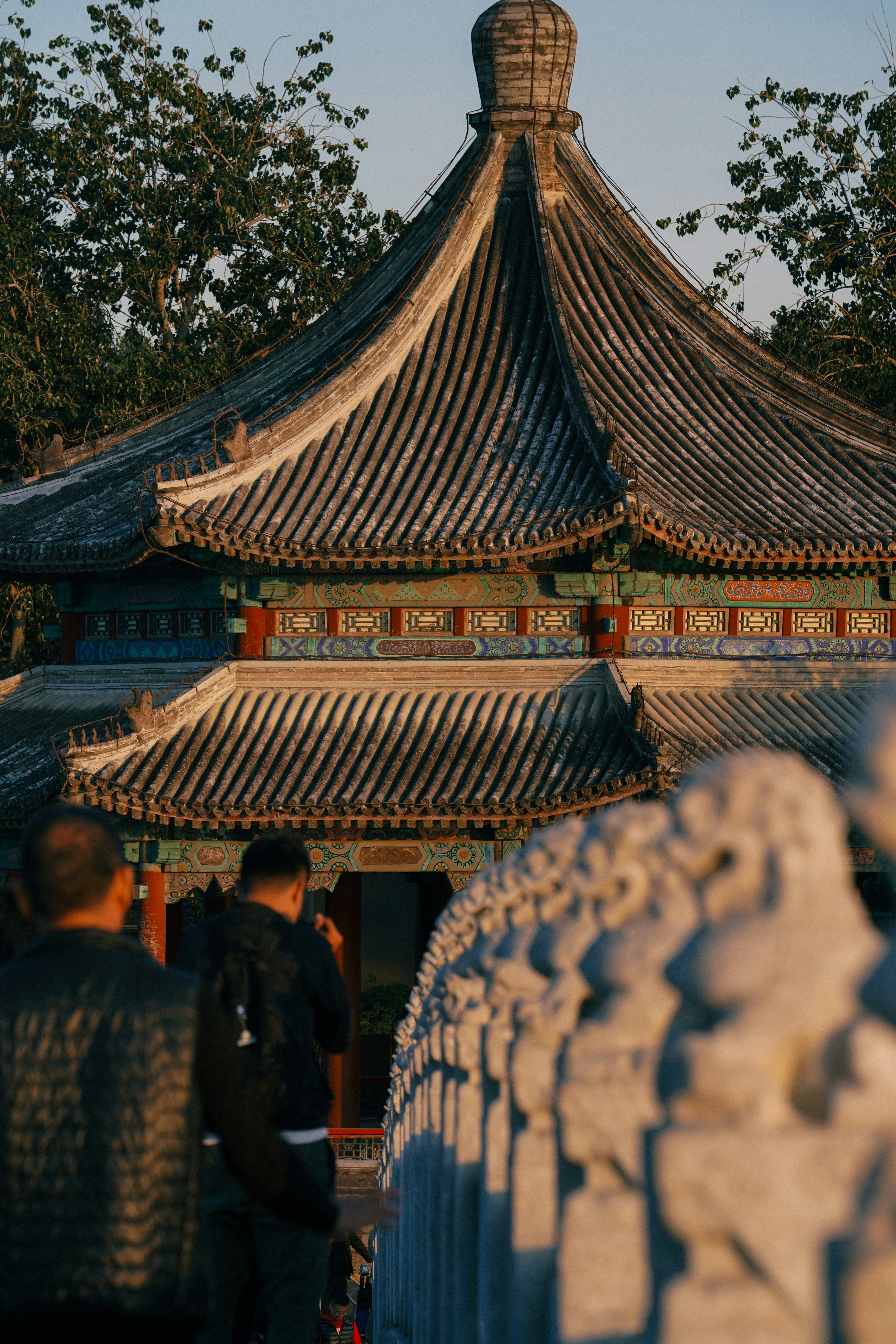 Apex of Quiet Grace: Sunlit Curves Over a Chinese Temple