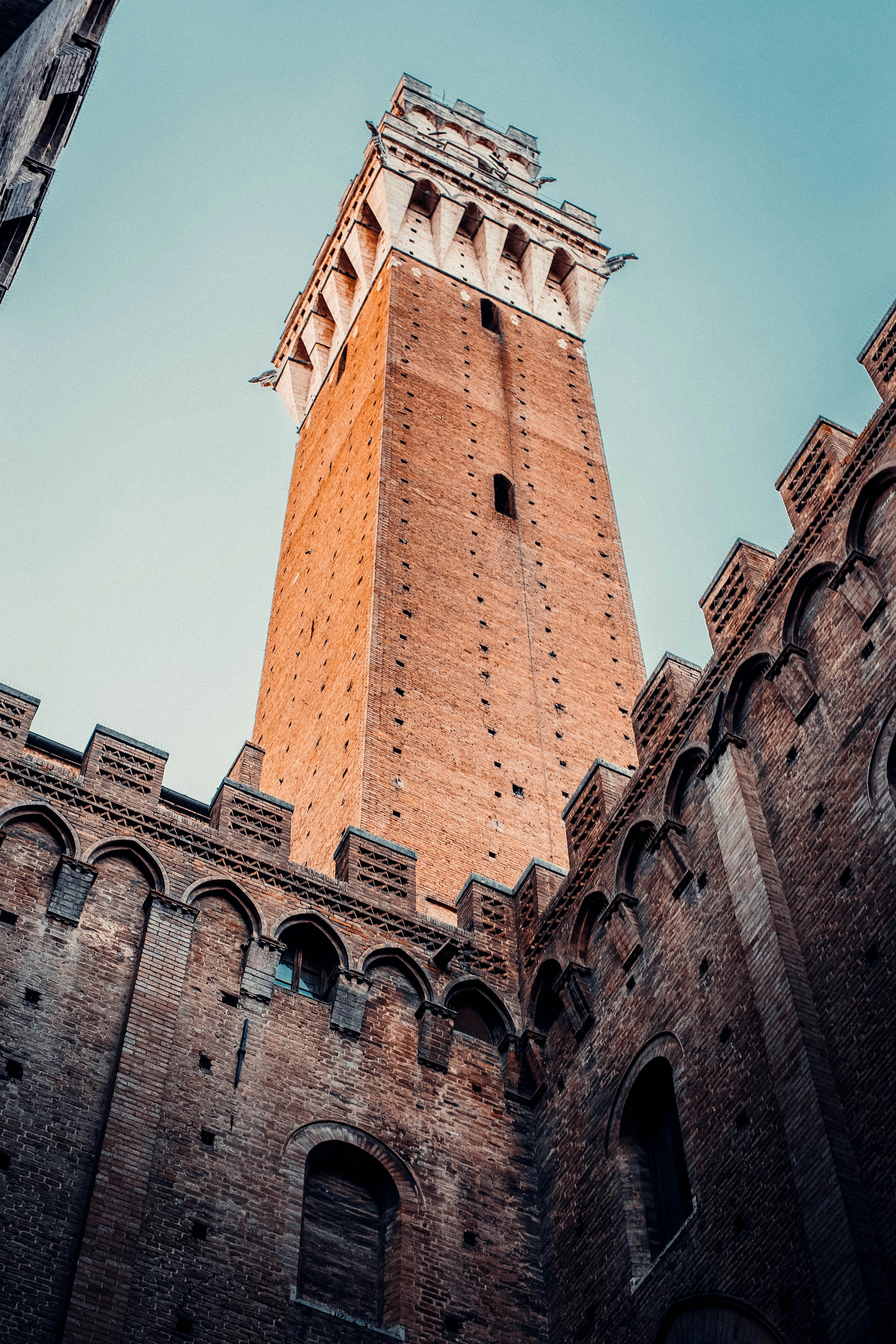 The Torre del Mangia rises dramatically against a clear sky, framed by the historic architecture of Siena's Piazza del Campo.
