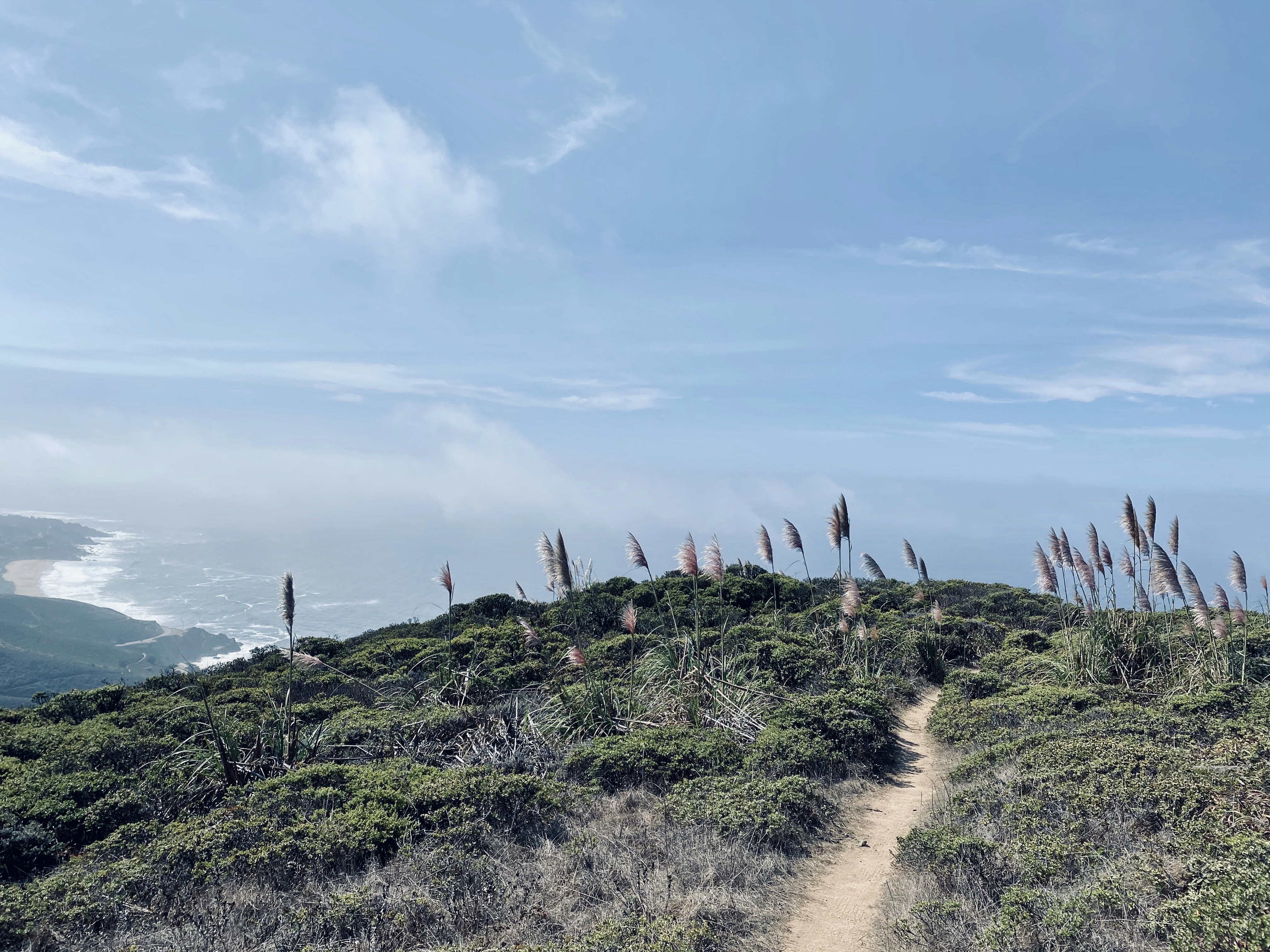 green grass field under blue sky during daytime
