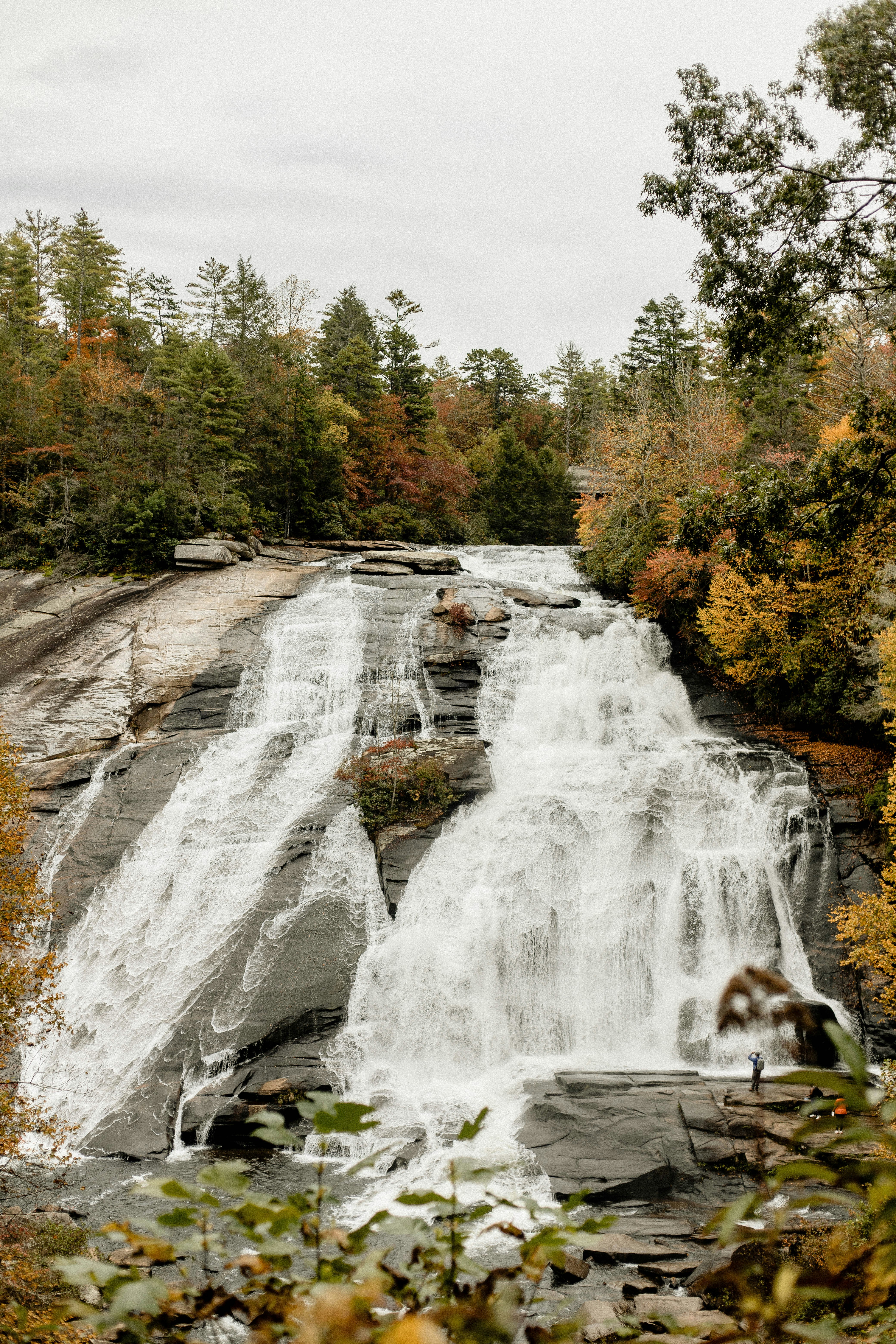 Rachel Coyne (@rachelcoyne) | Unsplash Photo Community