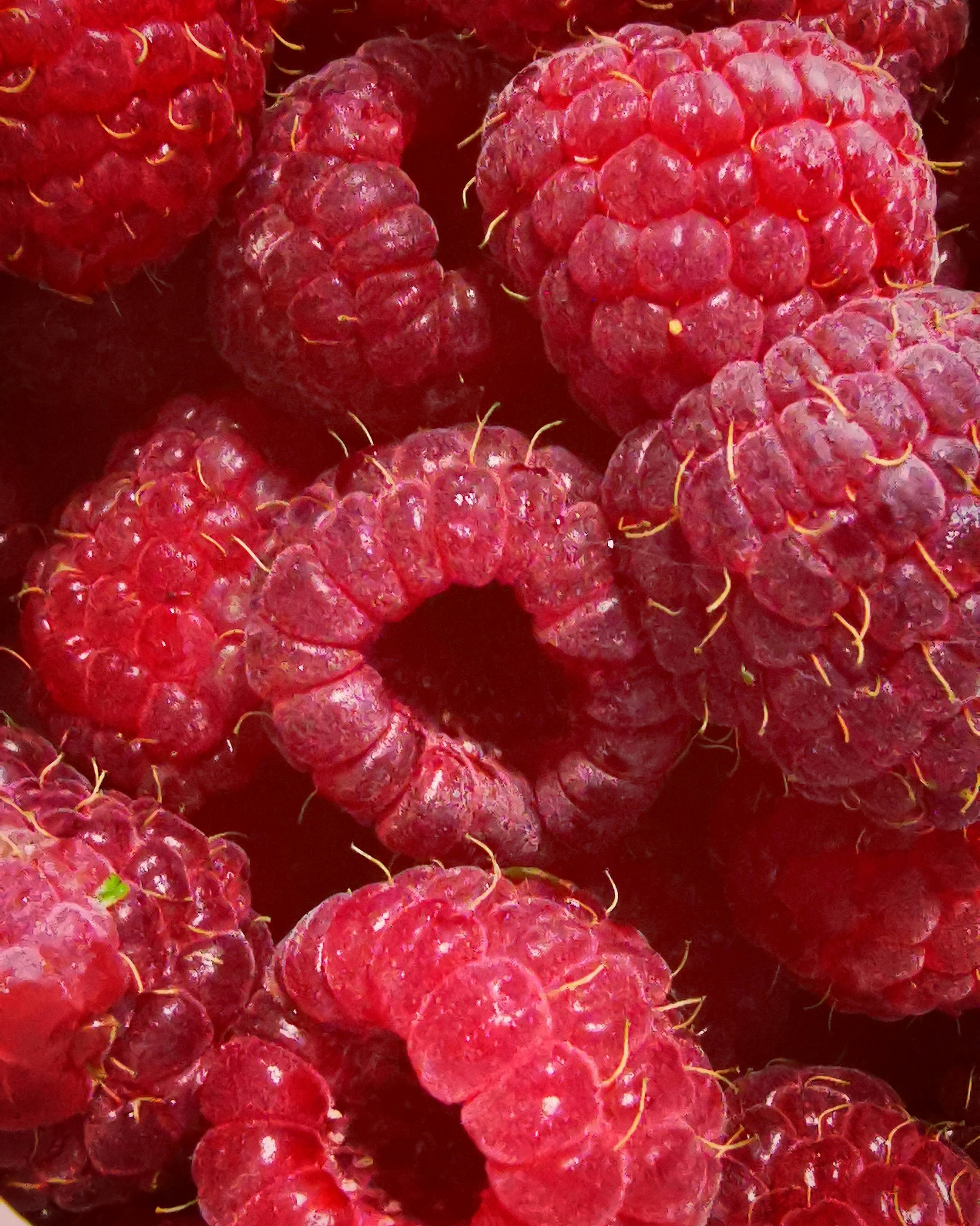 Red raspberry fruits in close up photography photo – Free Food Image on ...