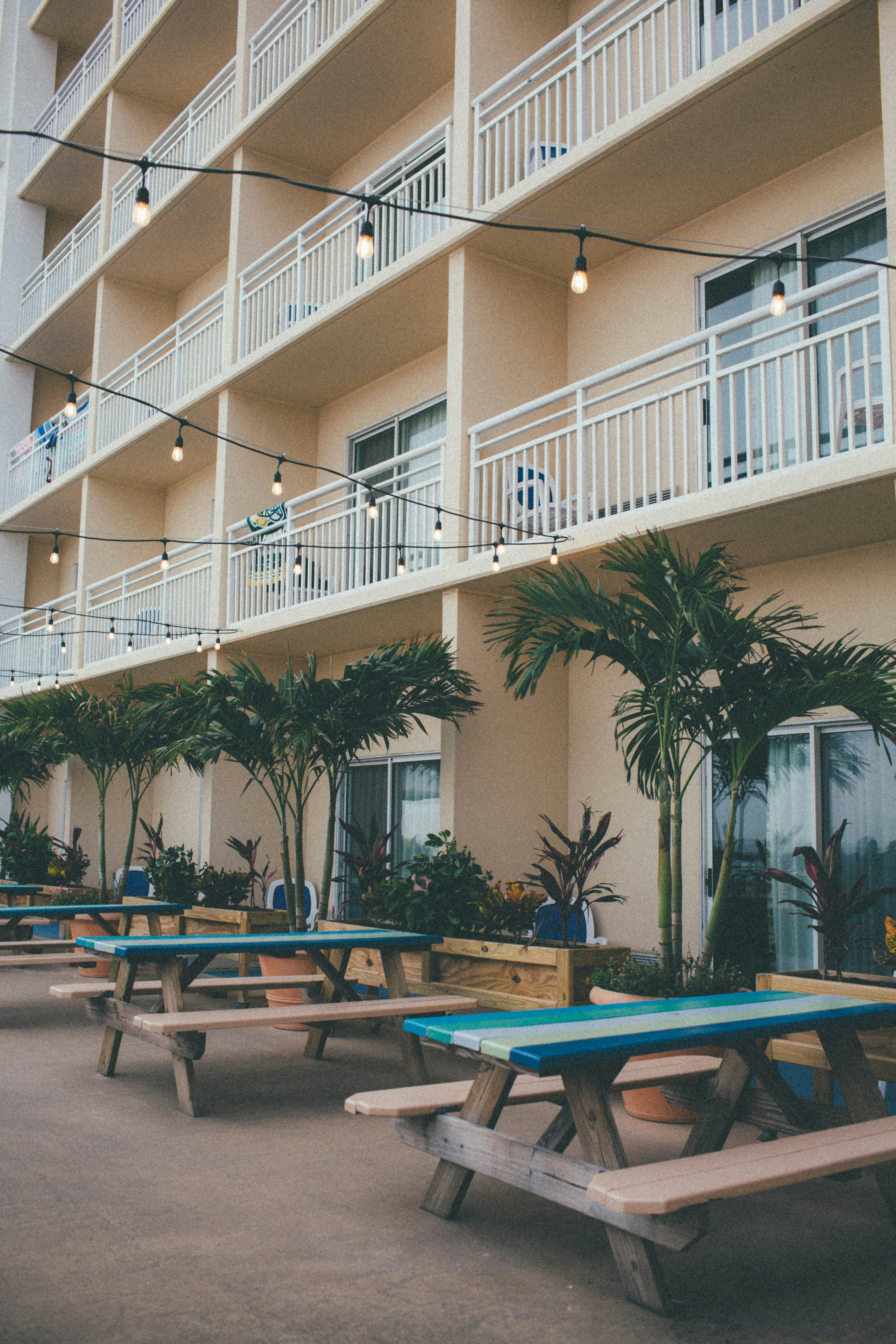 Colorful picnic tables surrounded by lush greenery and string lights at a beachfront hotel. The inviting atmosphere enhances the outdoor dining experience.