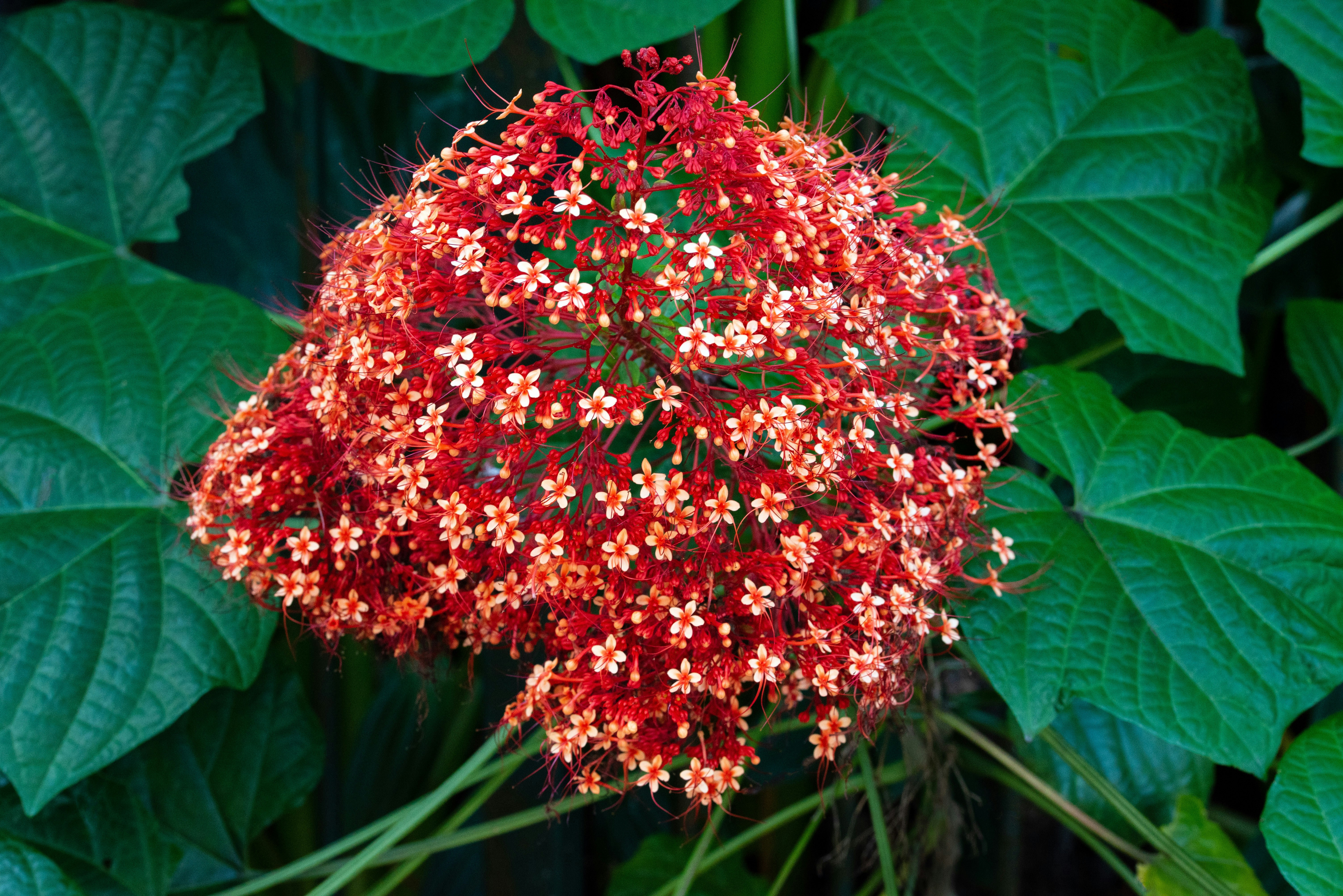 750+ Edge Pictures [HQ] | Download Free Images on Unsplash