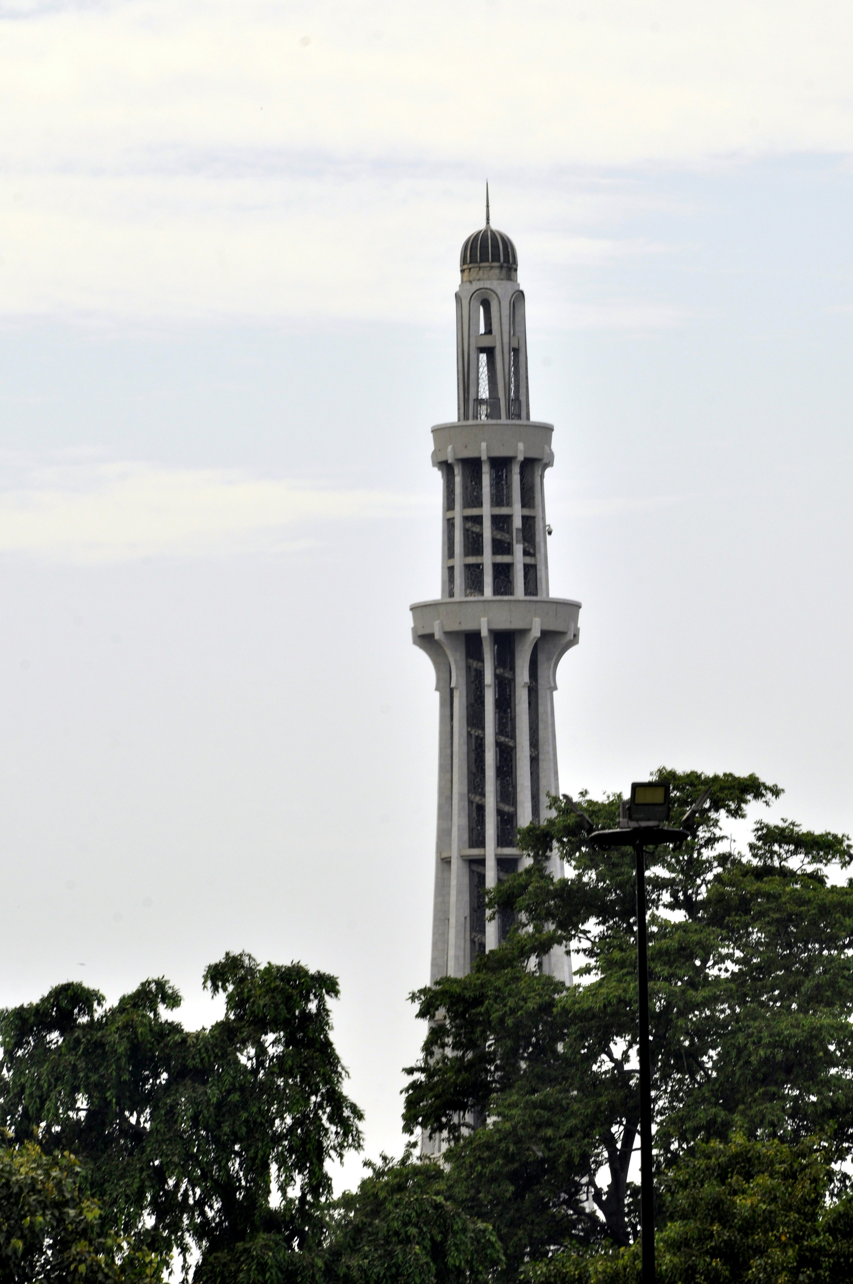 Tower of Echoes: A Narrow Spire Reaching Through the Canopy