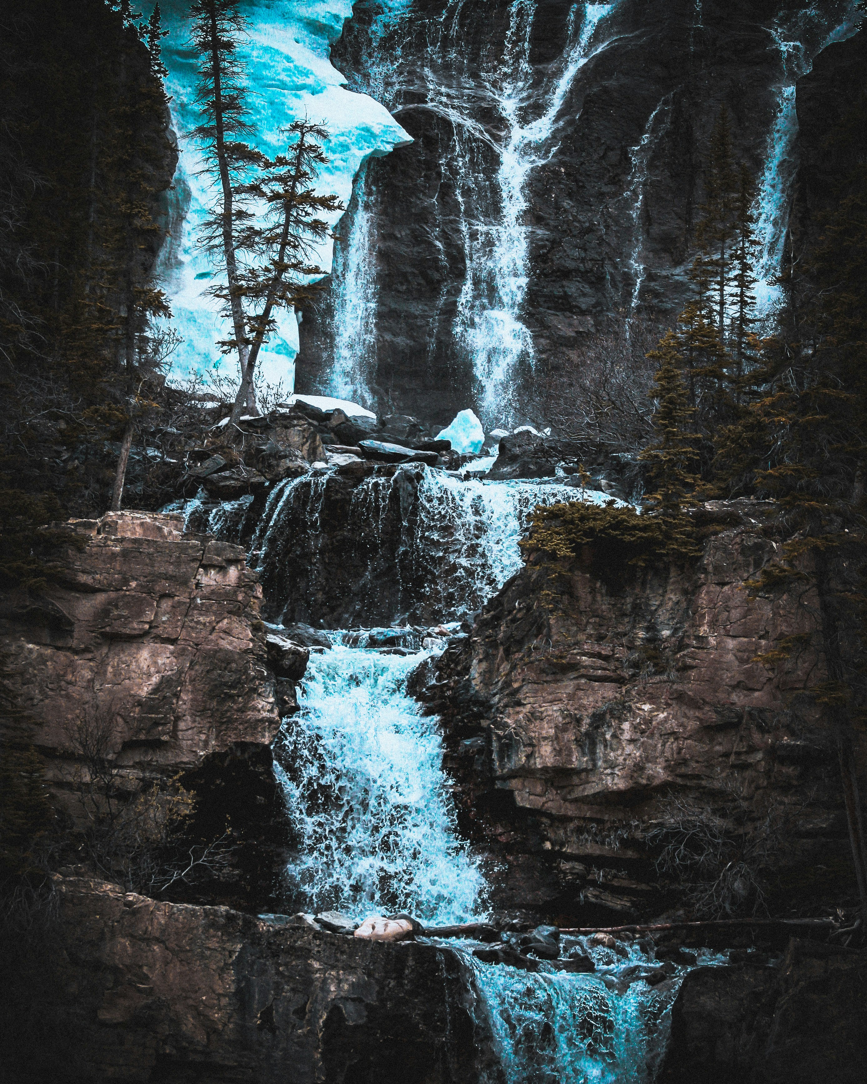 Glacial Cascade Framed by Pines in a Shadowed Gorge