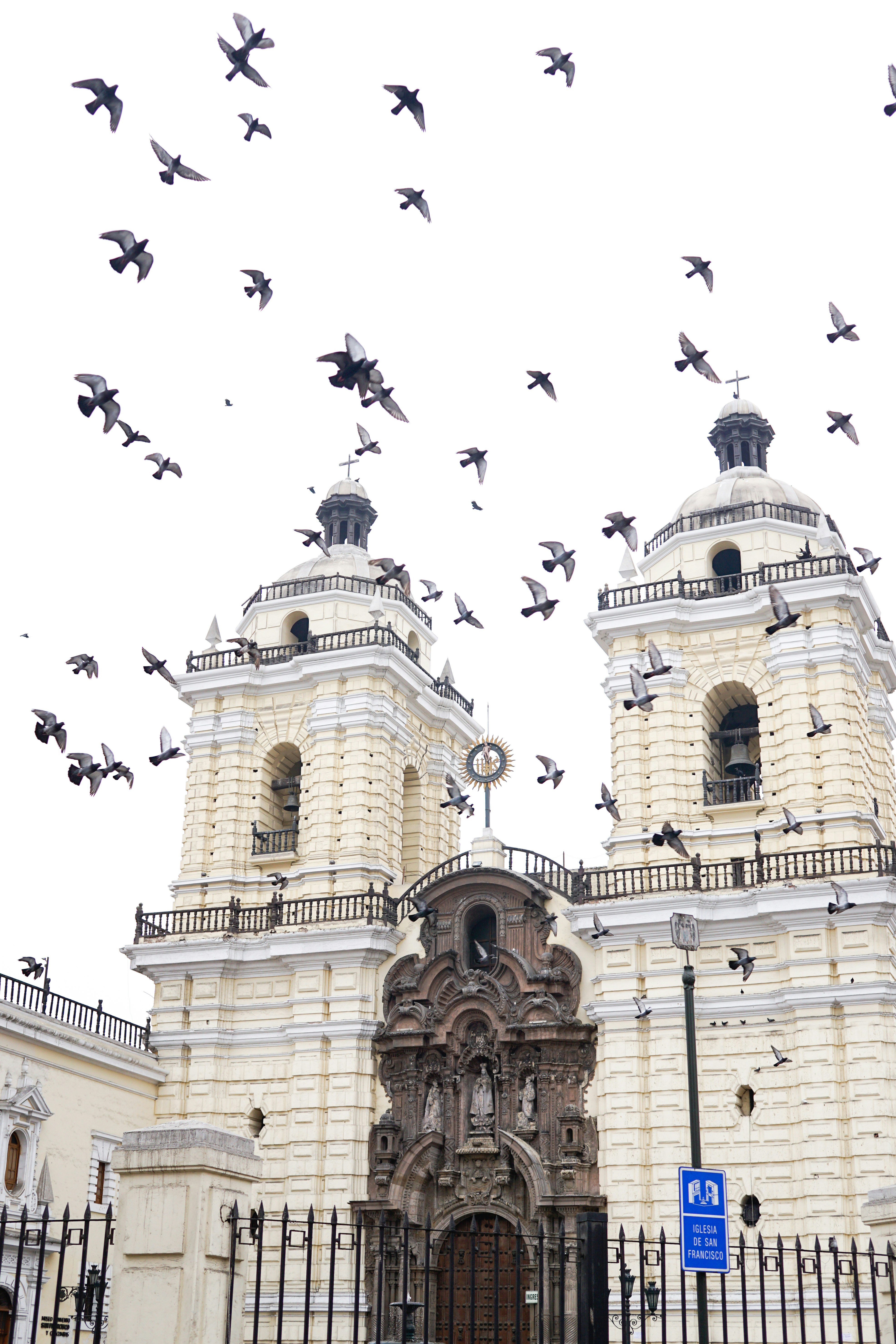 Church in Lima | birds flying over beige concrete building during daytime