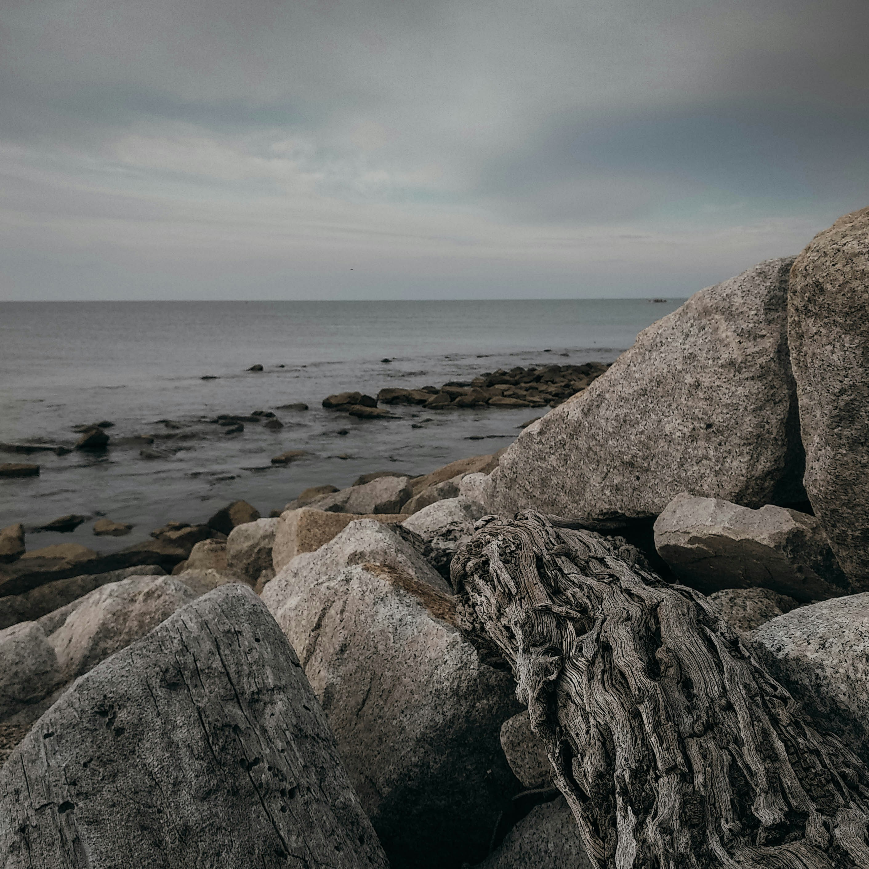 Weathered rocks and driftwood frame a serene coastal scene, where the gentle waves meet the shore under a muted sky.