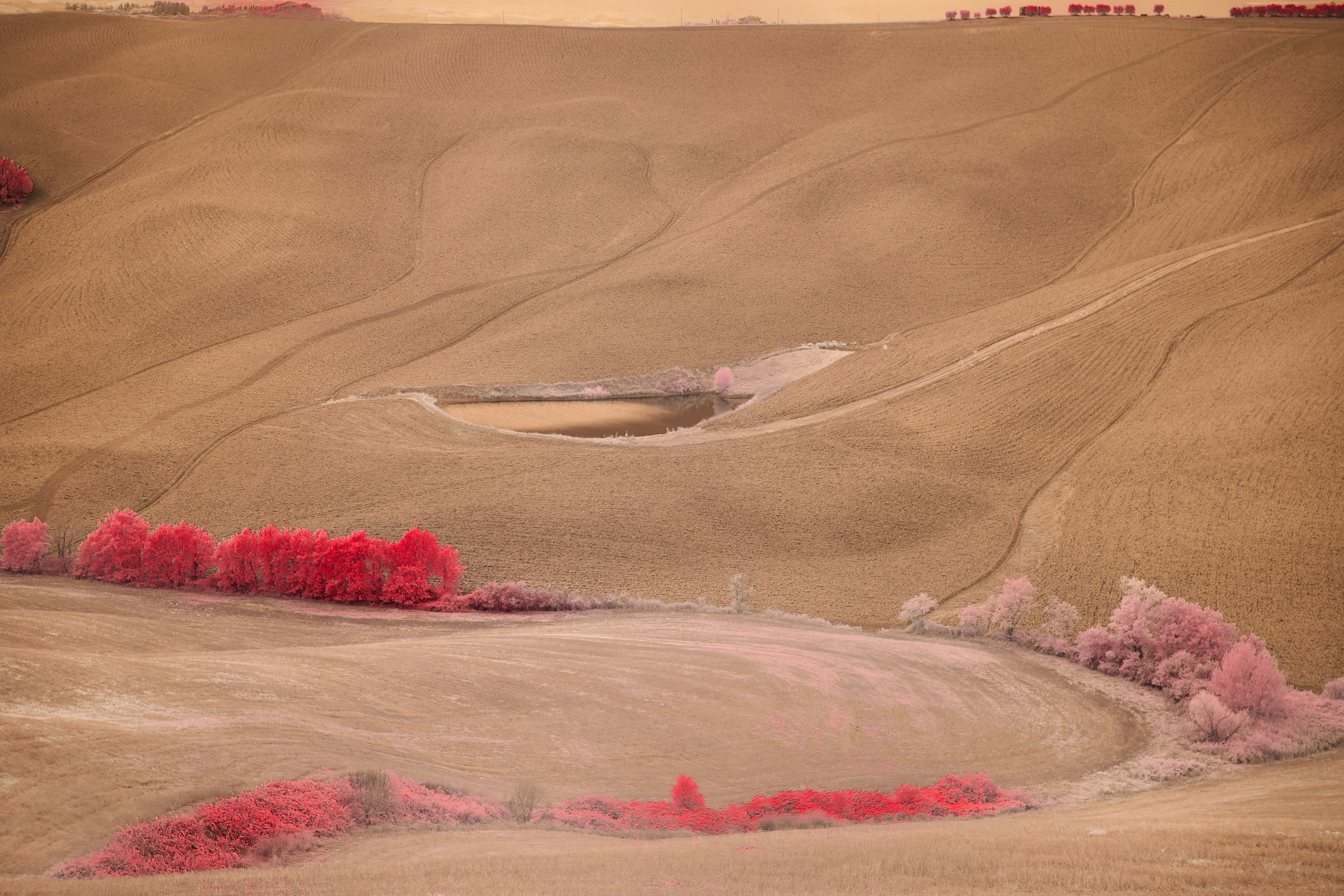 Hidden Aperture in Pink Dunes: An Infrared Desert Study