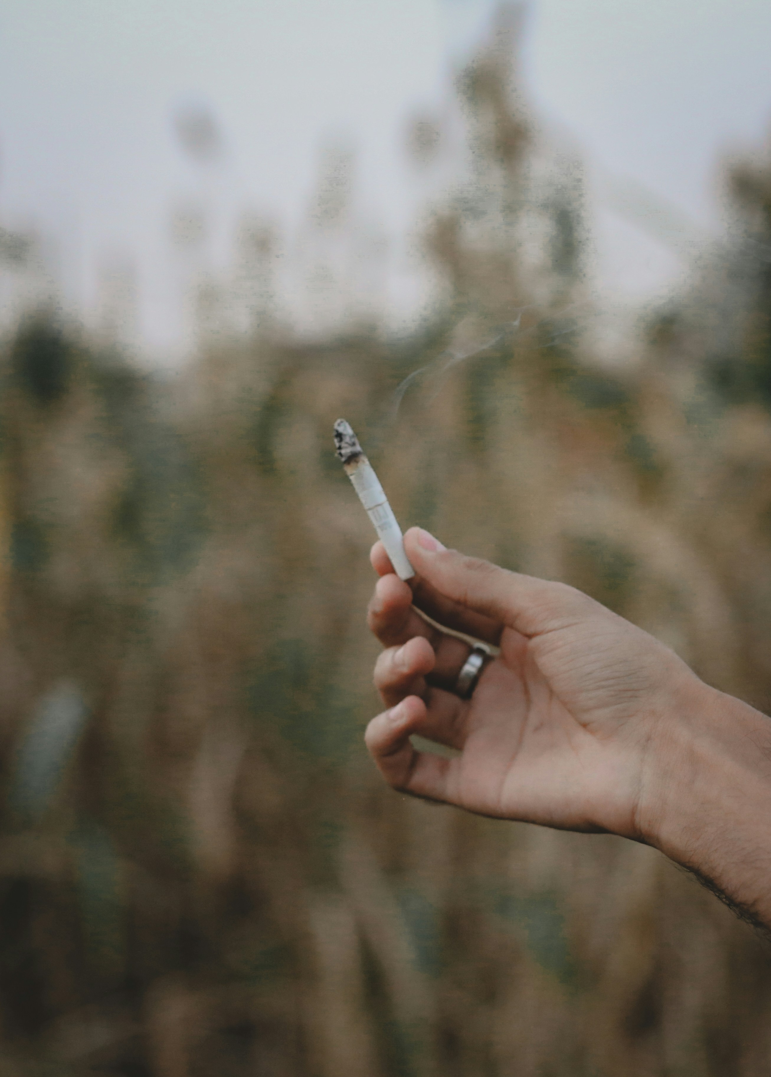 Hand holding a lit cigarette against a blurred natural background.